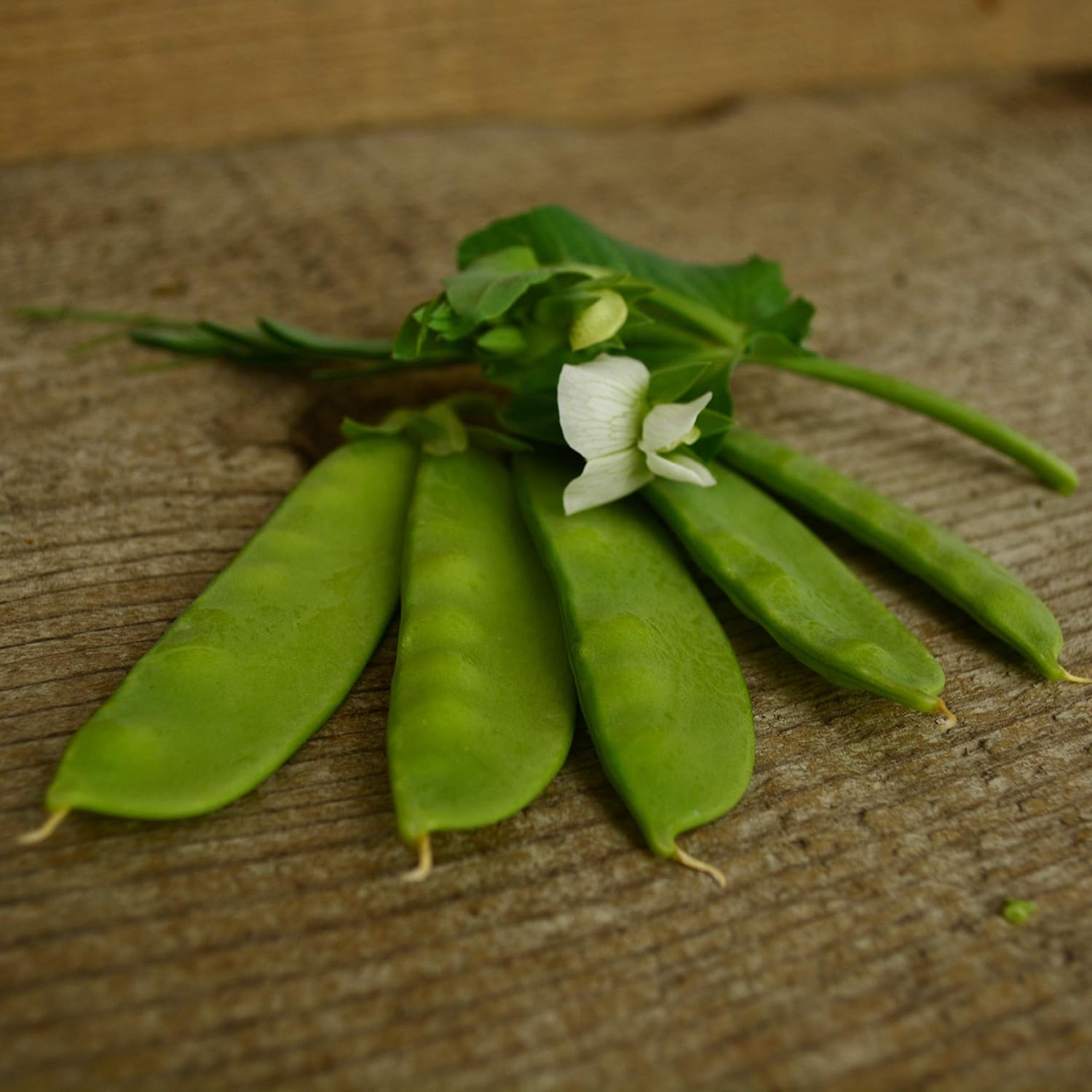Amazon.com : Mammoth Melting Snow Pea - 50 Seeds - Heirloom & Open ...