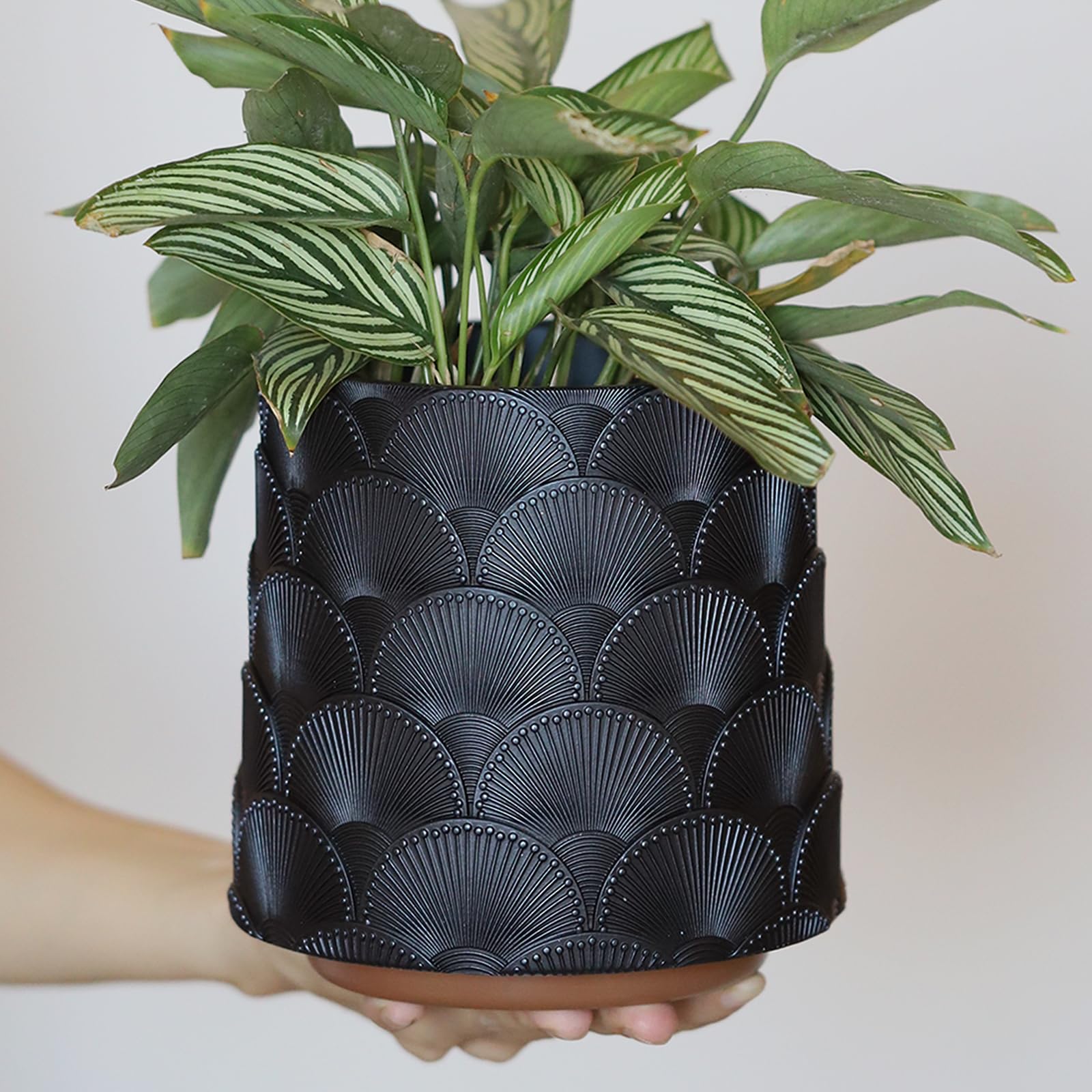 Amazon.com : GUGUGO Pearl Black Scale Planter, Cute Unique Plant Pot ...