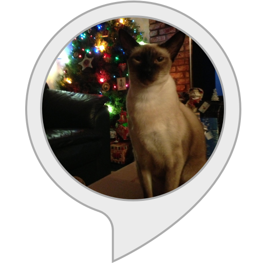 Amazon.com: Cat Facts : Alexa Skills