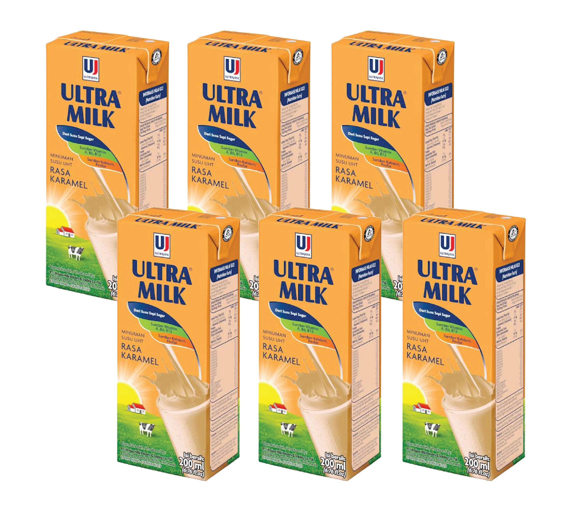 Buy Ultra Milk - Caramel Flavored Milk, 6.76 oz, Pack of 6 | UHT ...