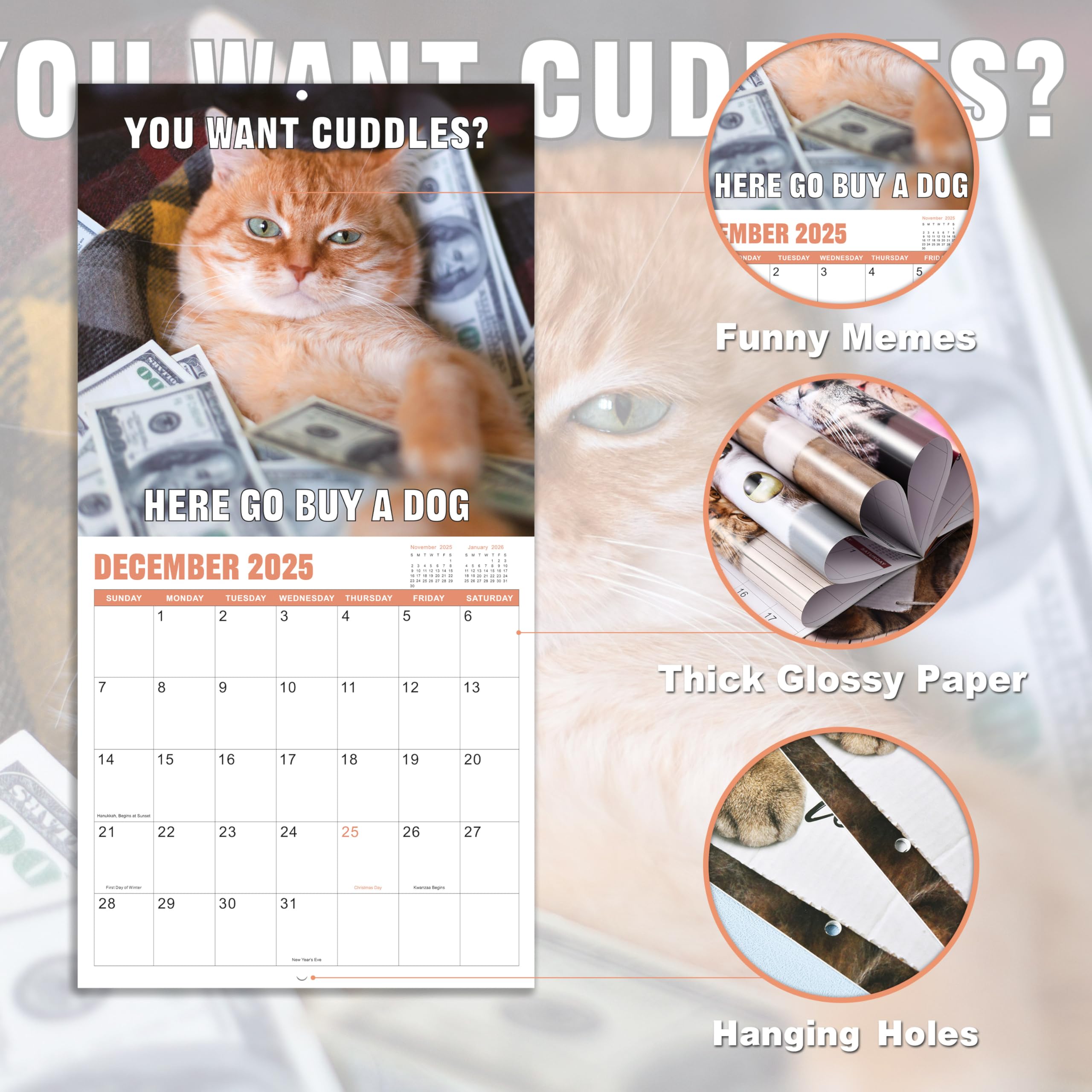 Snapklik.com : 2025 Wall Calendar - JAN 2025 - DEC 2025, Funny Cat ...