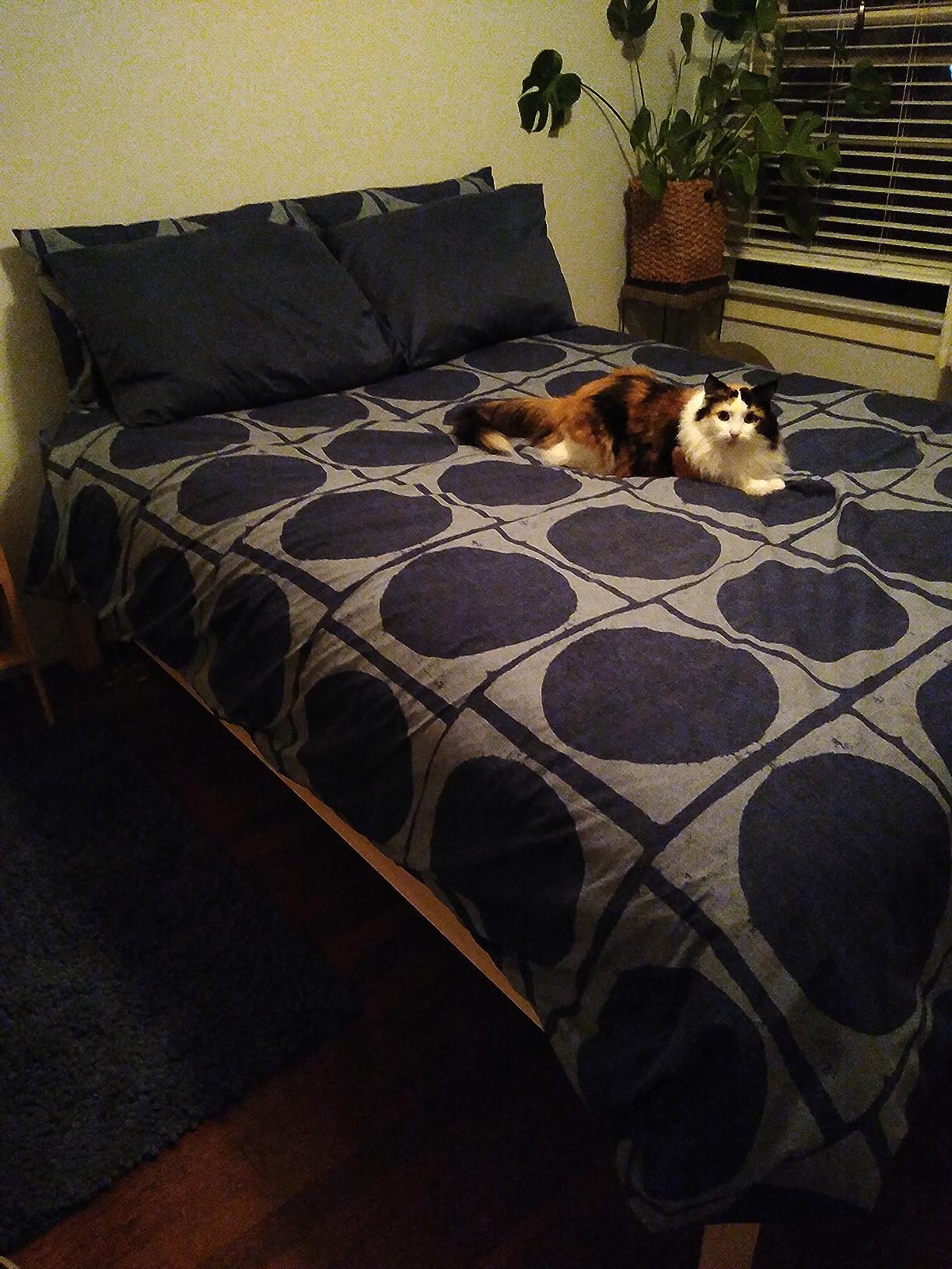 $48/mo - Finance KD Frames Nomad Platform Natural Poplar Bed - Queen ...