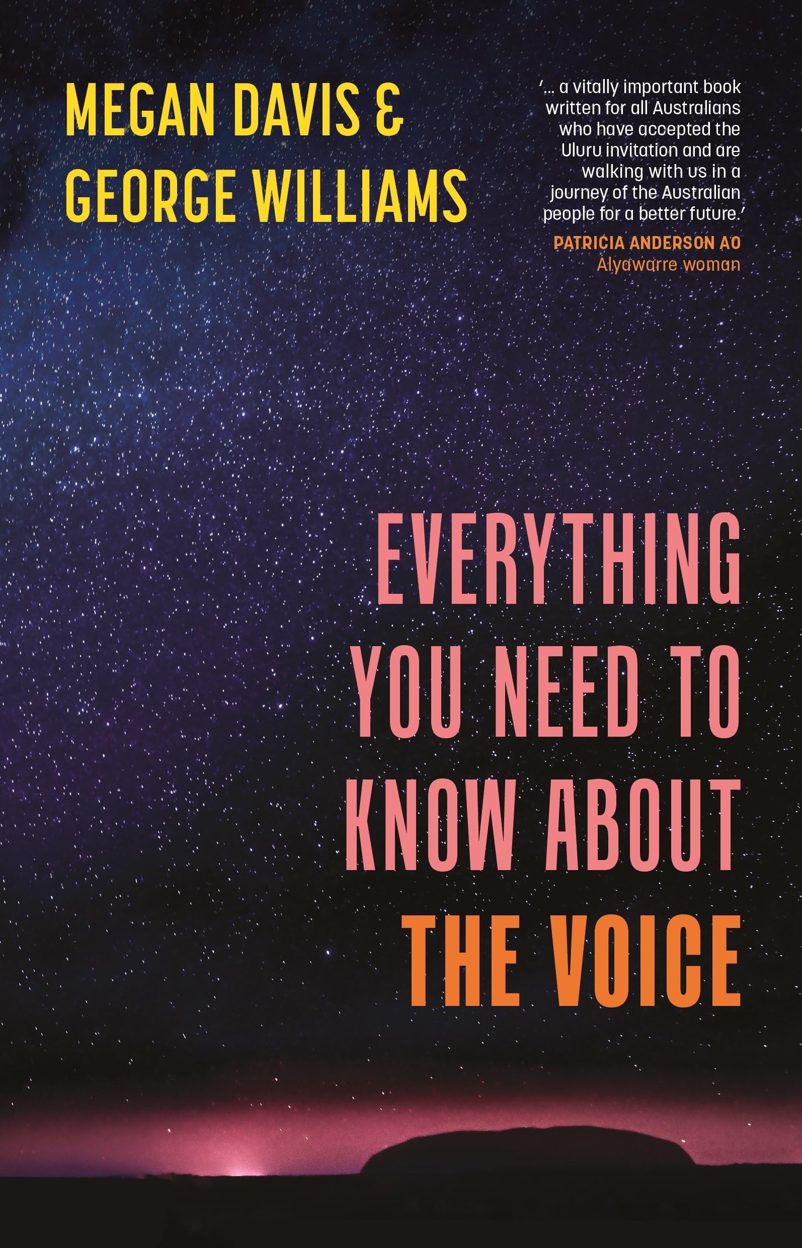 Buy Everything You Need to Know about the Voice Book Online at Low ...
