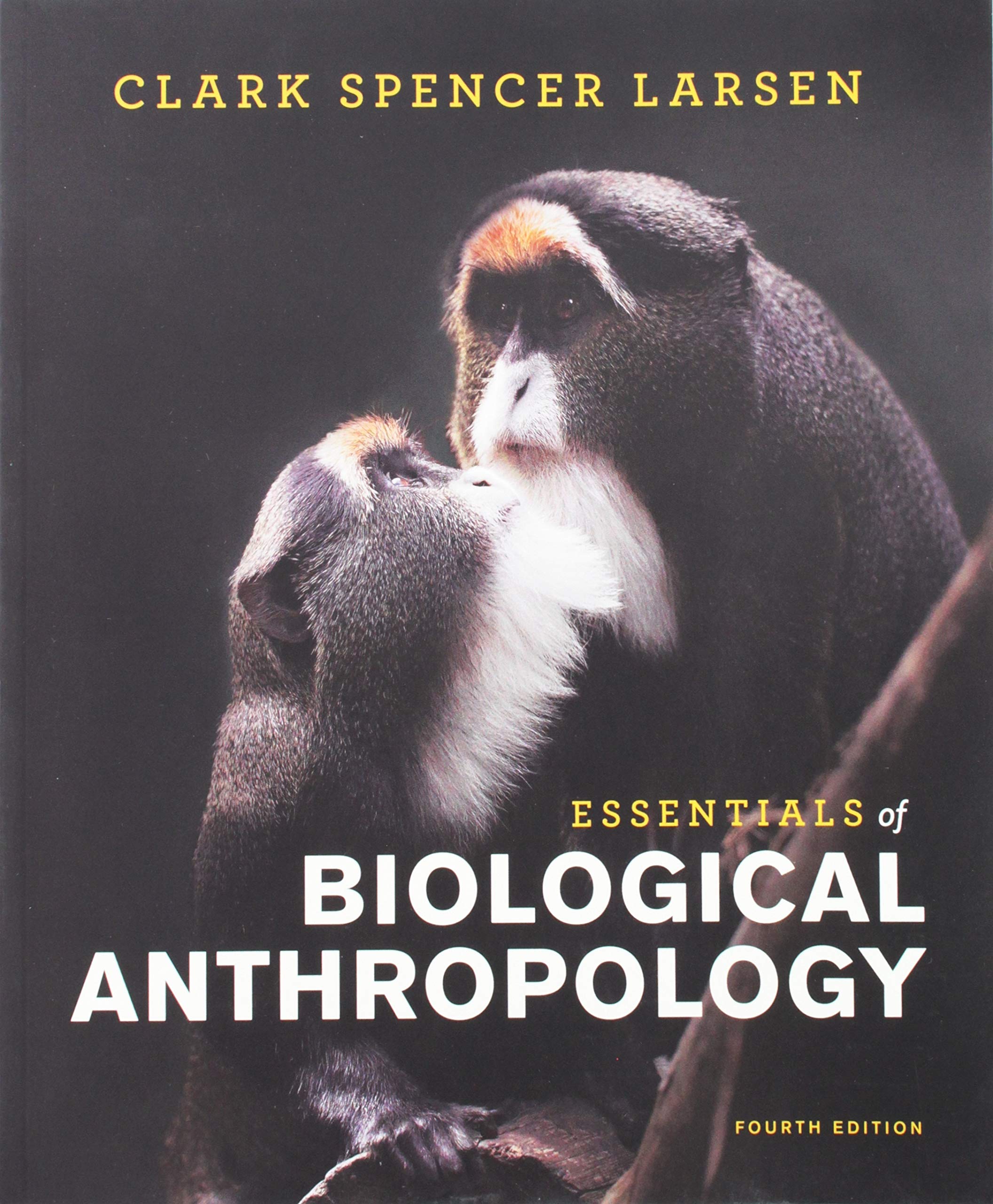 Amazon.com: Essentials of Biological Anthropology: 9780393667431 ...