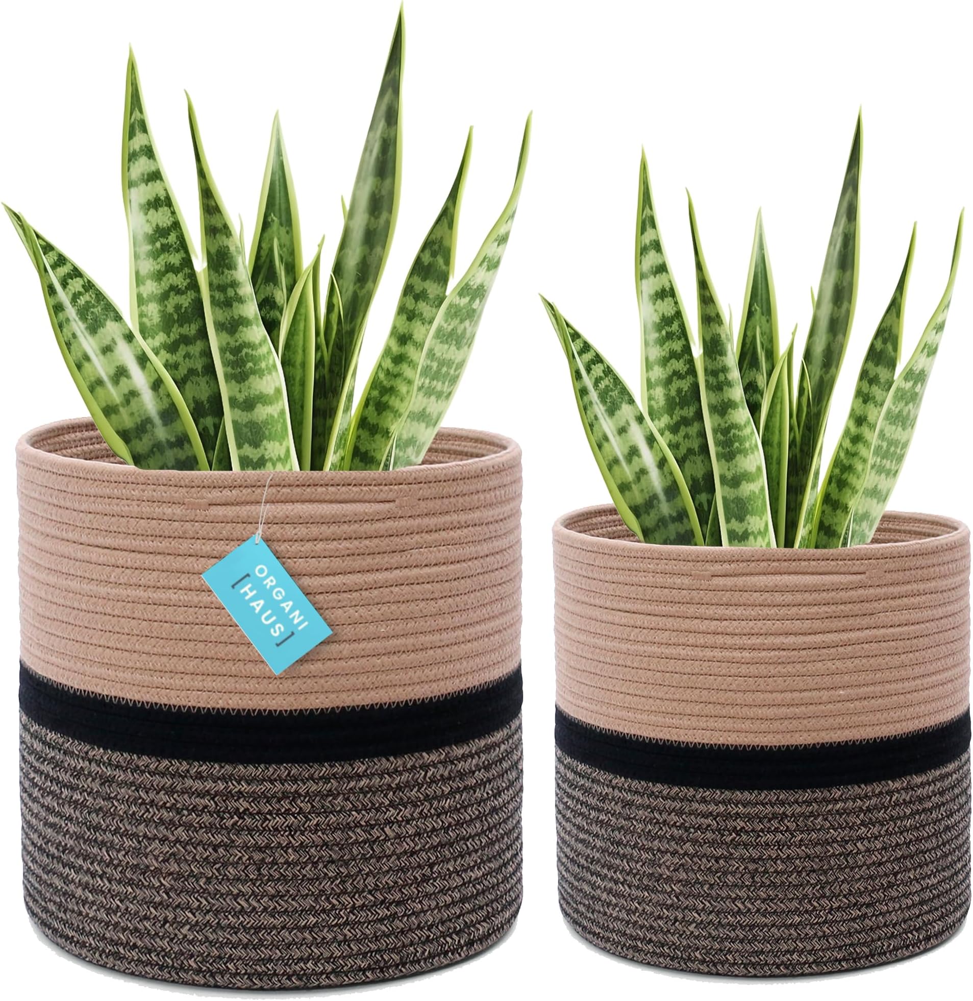 Amazon.com: Woven Storage 14" Small Spiral Seagrass Planter Shelf ...
