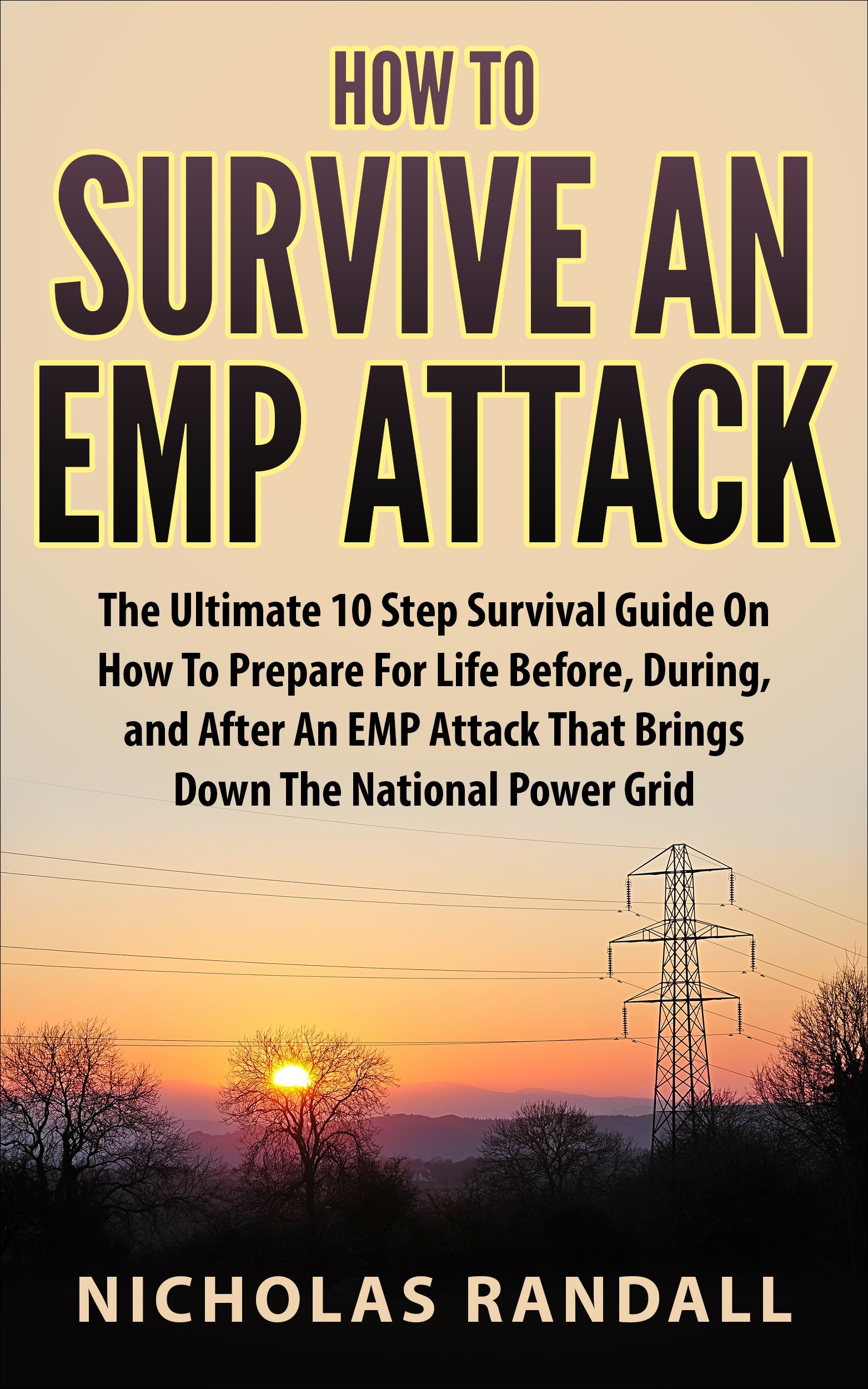 How To Survive An Emp Attack The Ultimate 10 Step | Desertcart INDIA