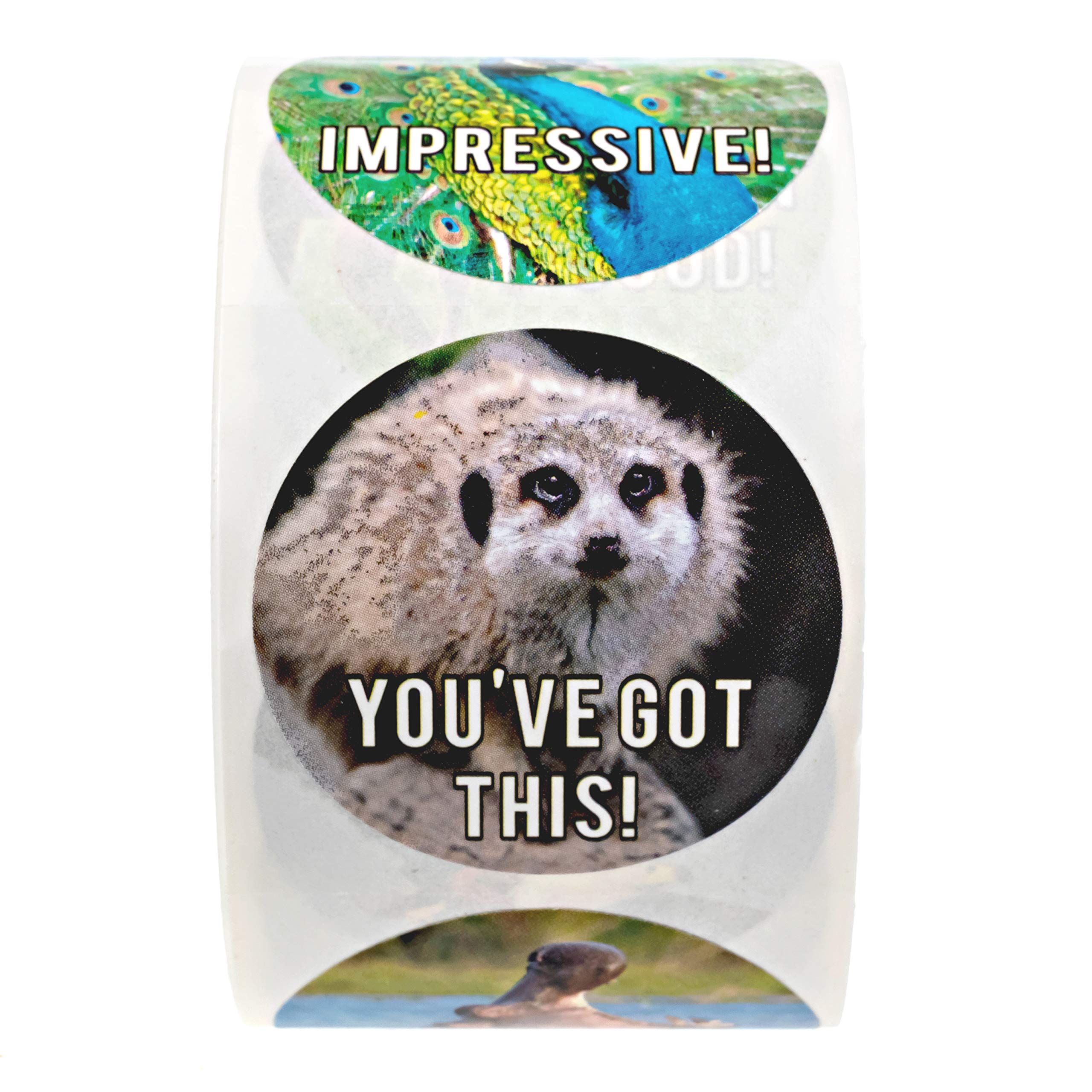 Snapklik.com : Motivational Animal Stickers / 500 Students Patients ...