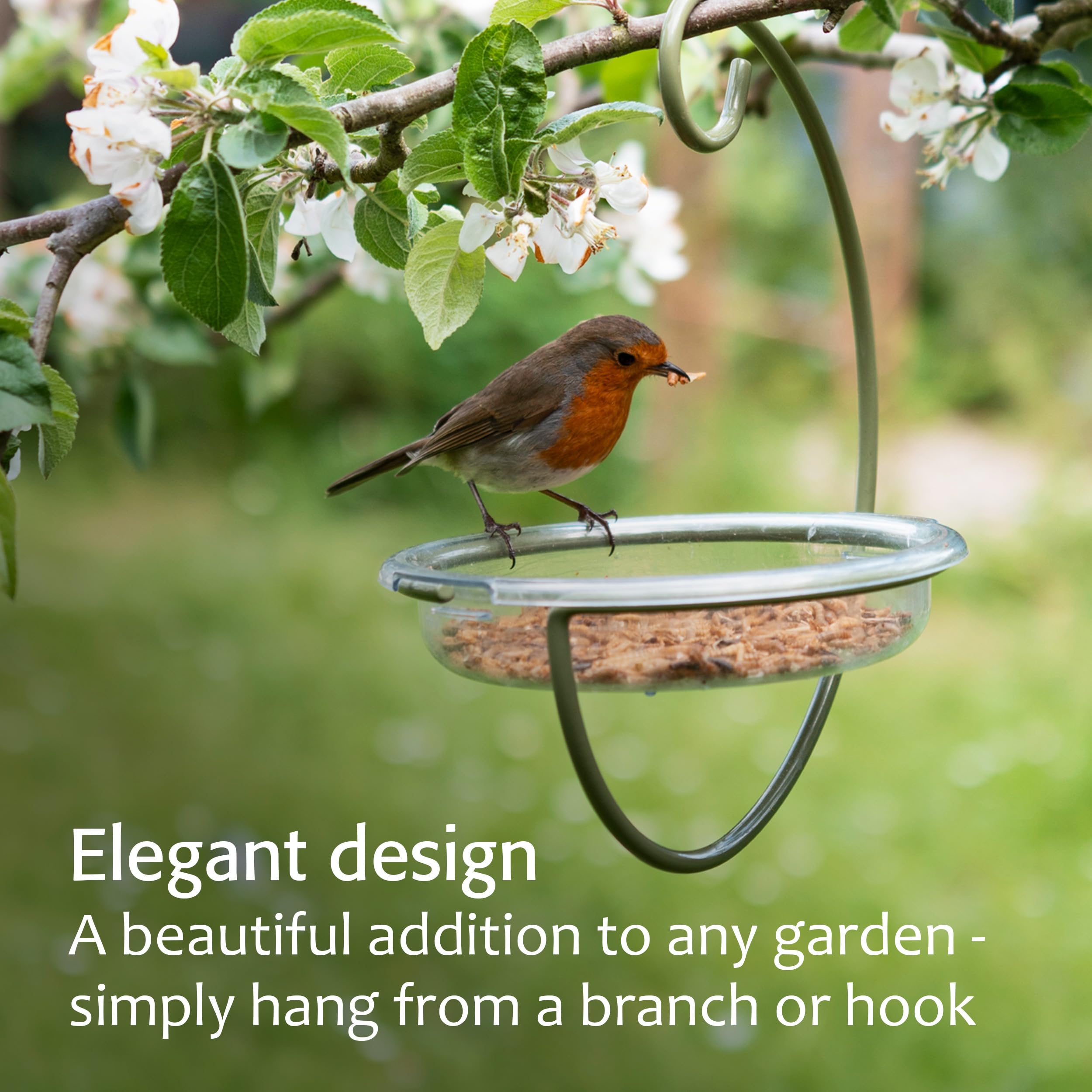 Squirrel Proof s Robin With Food - Jacobi Jayne® Easy-Clean Hanging ...