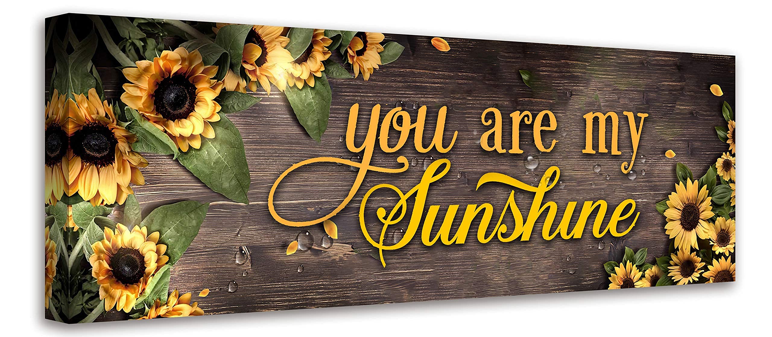 You Are My Sunshine Quotes