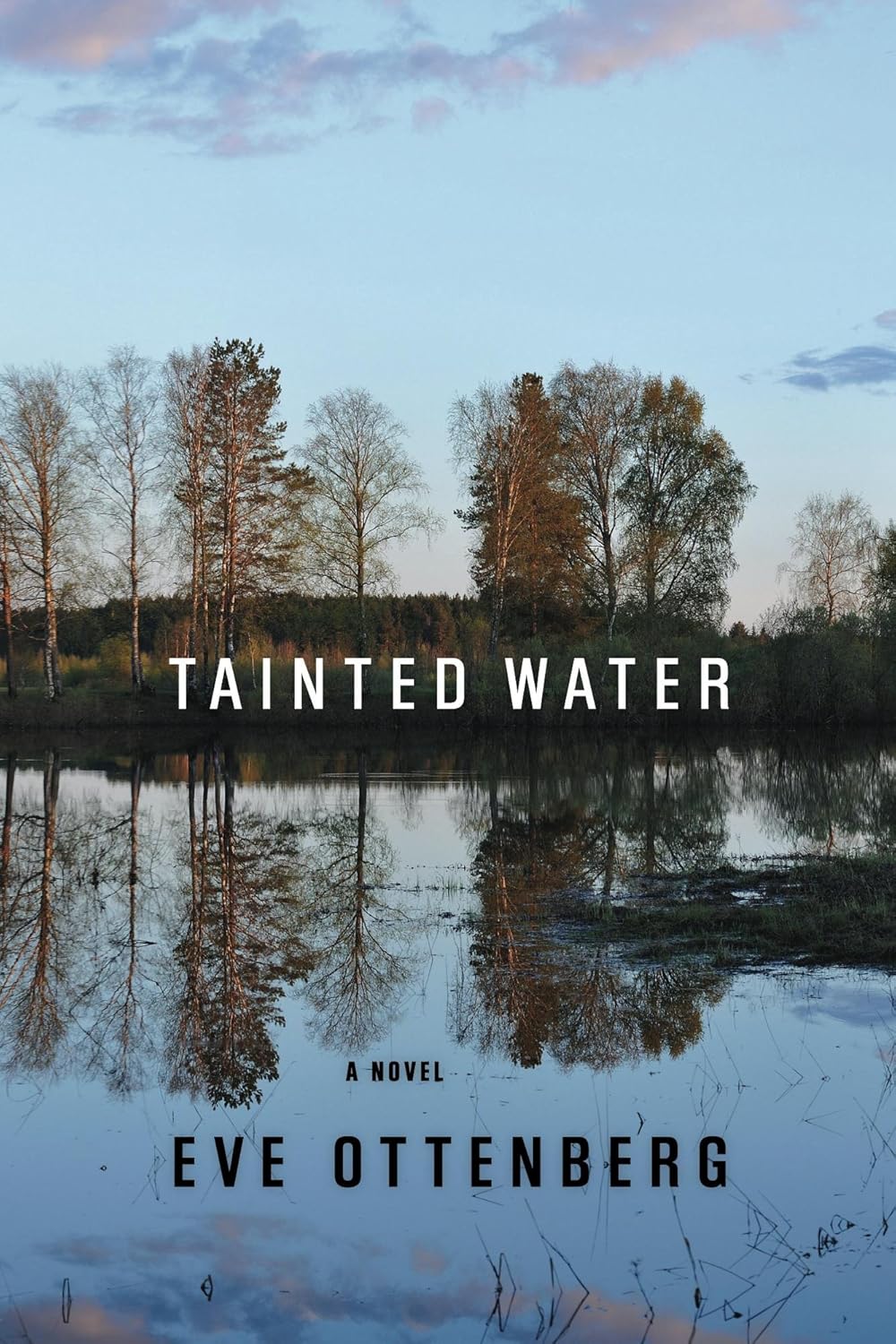 Amazon.com: Tainted Water: A Novel eBook : Ottenberg, Eve: Kindle Store