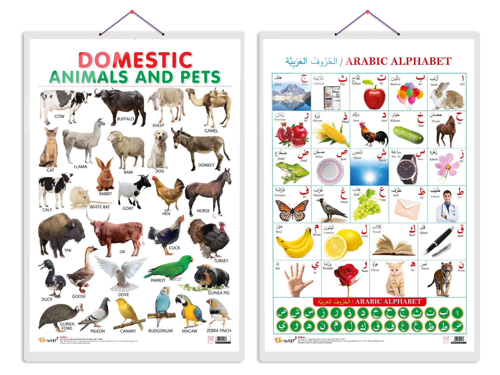 Arabic Alphabet Animal Names