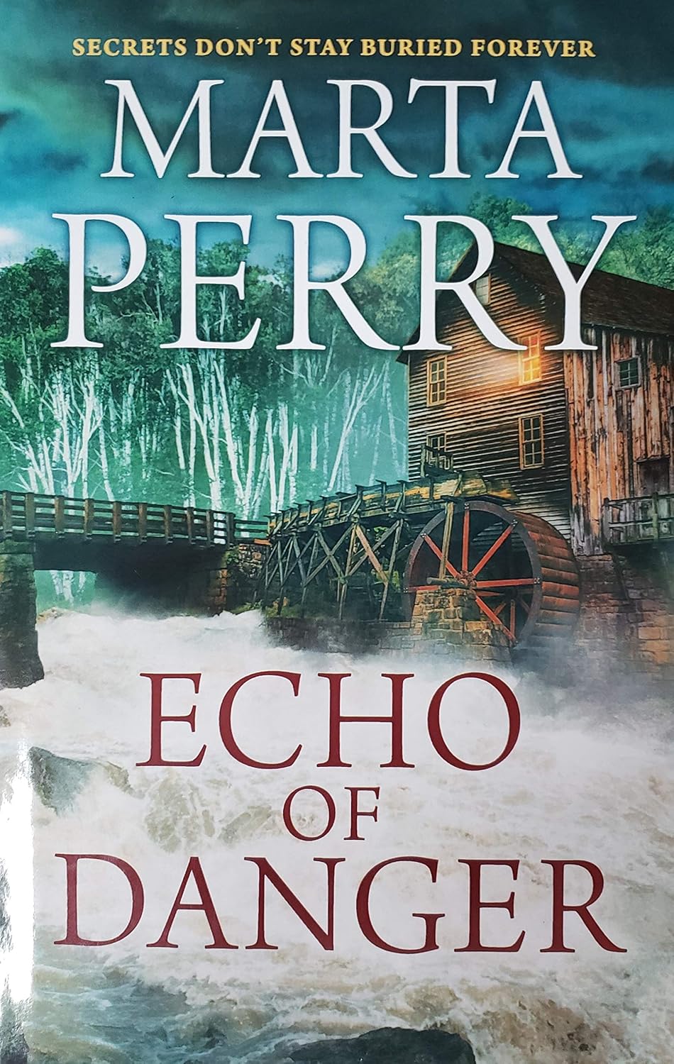Echo of Danger: Marta Perry: 9781683314196: Amazon.com: Books