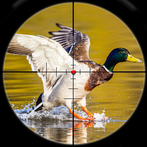 Jungle Birds Hunting - Sniper Shooting Games - App on Amazon Appstore