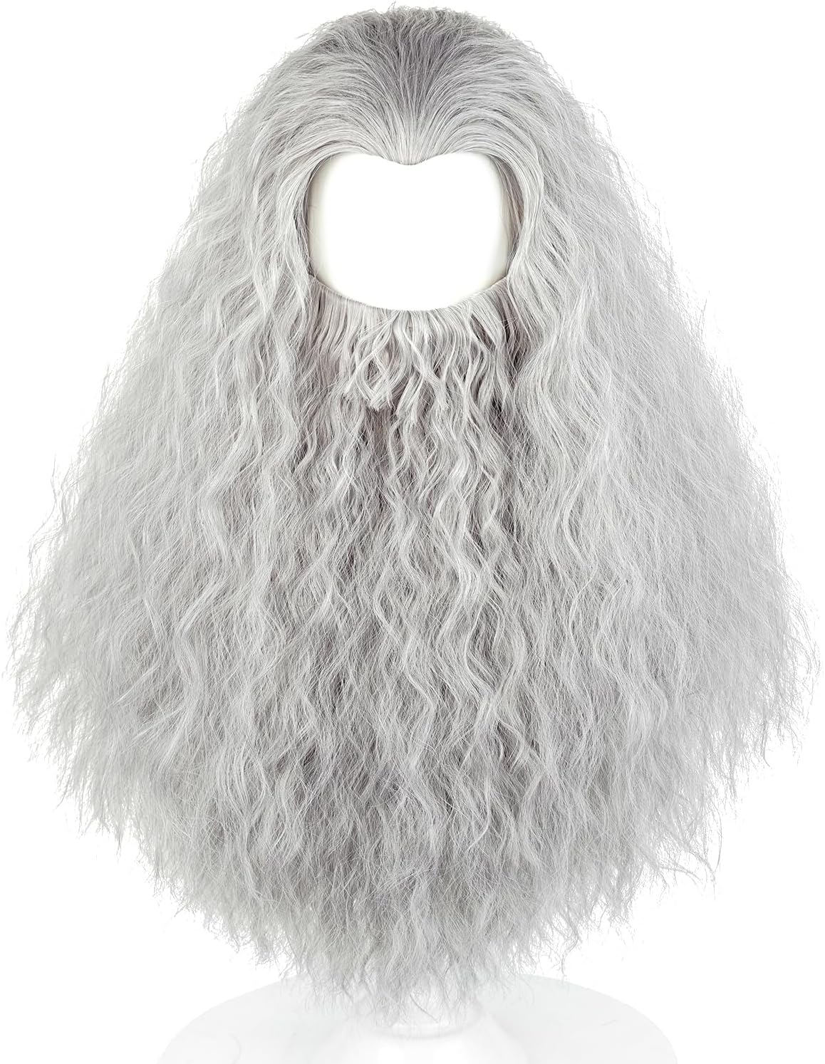Amazon.com: Probeauty Gray Wig with Beard for Adults, Long Grey Curly ...