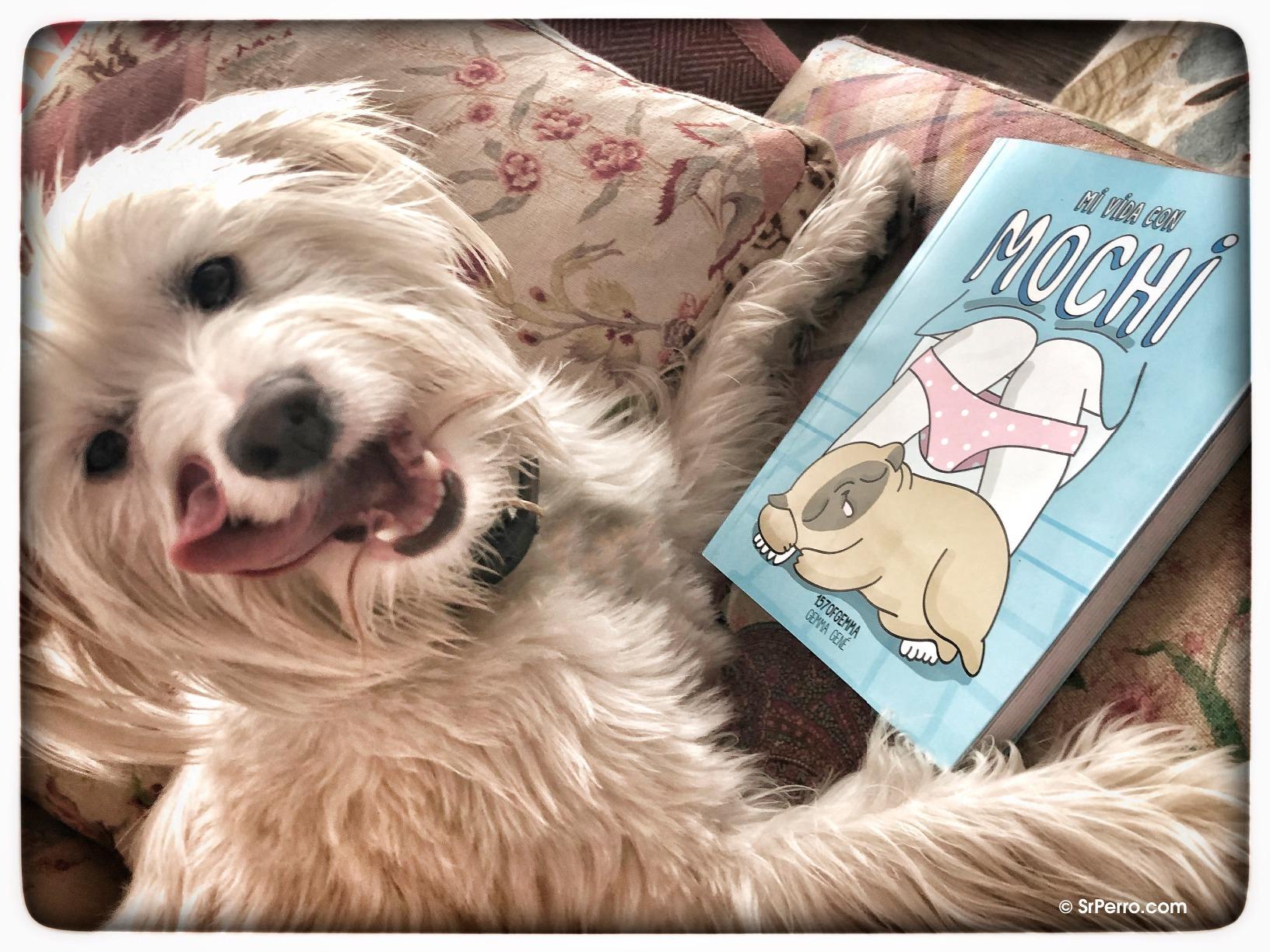 Mi vida con Mochi (Ilustración) : 157ofgemma (Gemma Gené): Amazon.es ...