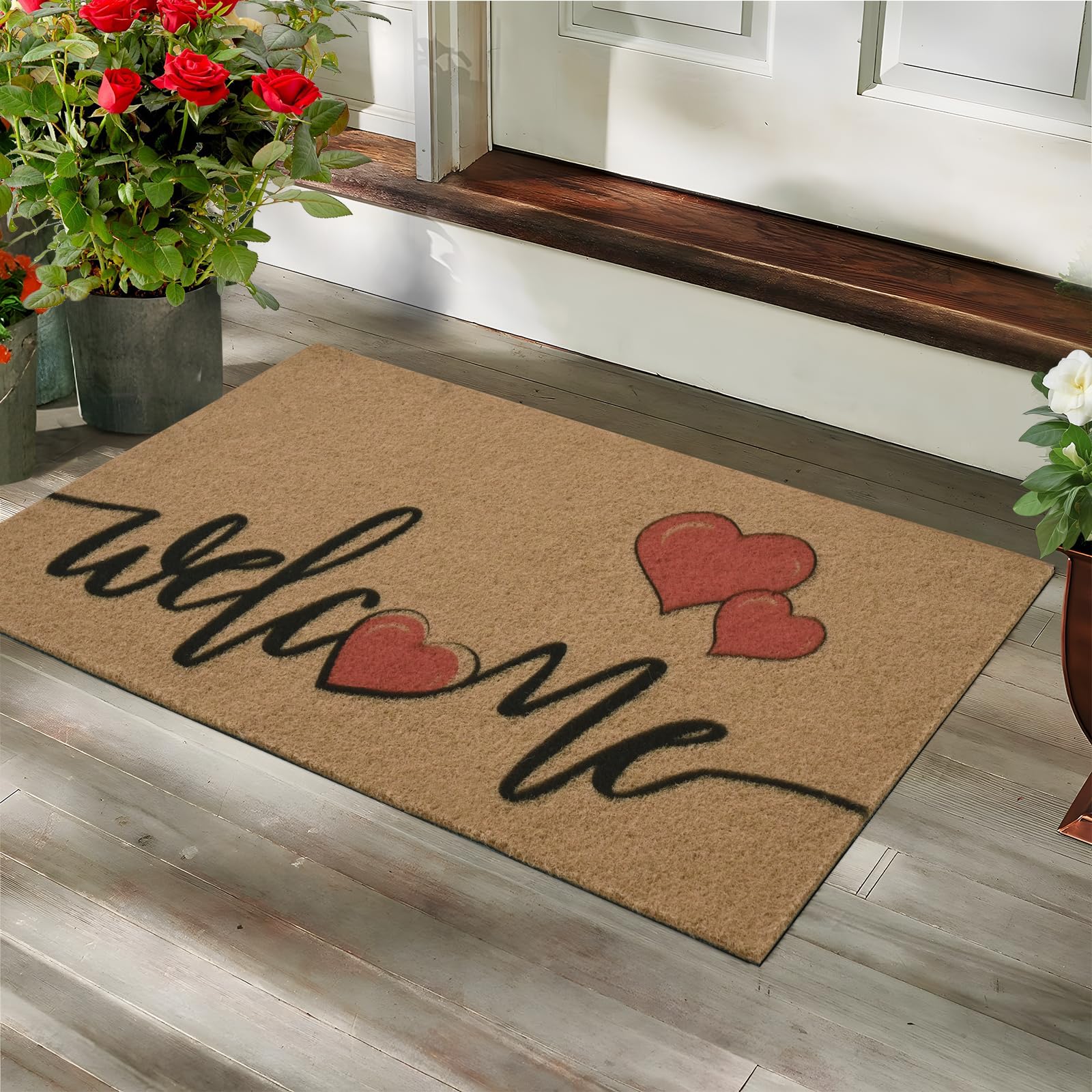 Amazon.com: Likiyol Valentines Day Coir Door Mat Outside Indoor ...