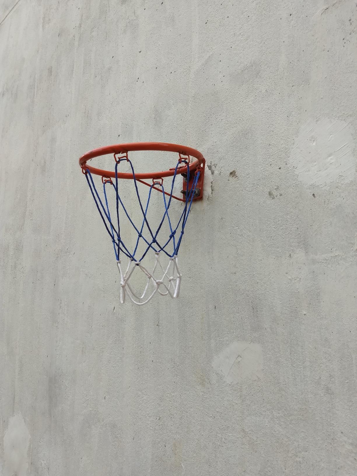 Raisco Professional Basketball Ring with Net (Orange) (for 5 Basketball ...