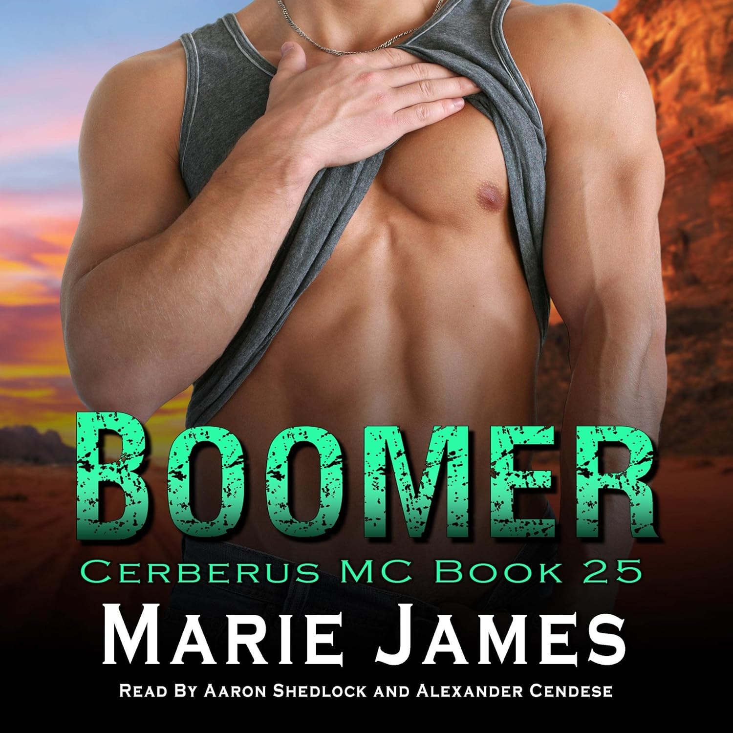 Amazon.com: Boomer: Cerberus MC, Book 25 (Audible Audio Edition): Marie James, Aaron Shedlock ...