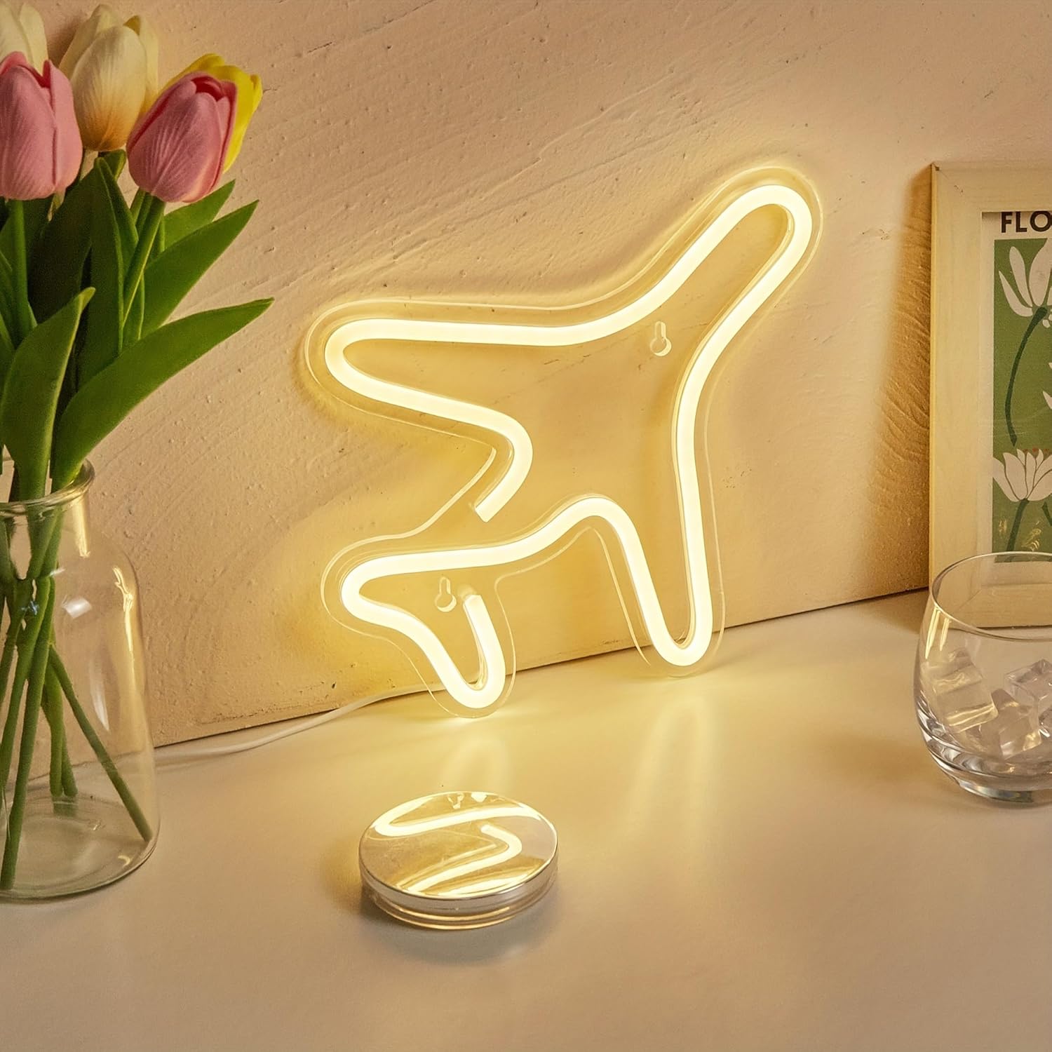 LED Neon Airliner Cute Neon Sign, USB Powered Neon Signs Night Light ...