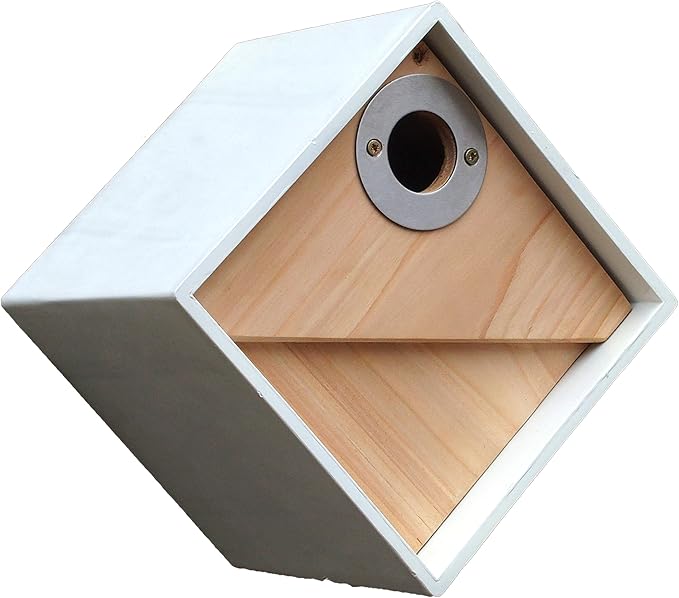 Amazon.com : Wildlife World Ltd Urban Nest Box (Model: KURBNB) : Patio ...