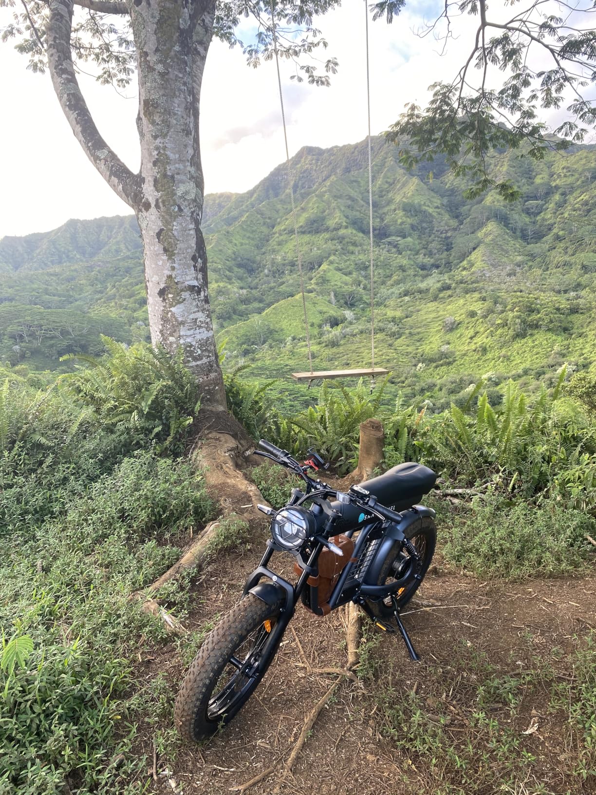 $50/mo - Finance Electric Bike for Adults,Ebike with 1200W Brushless ...