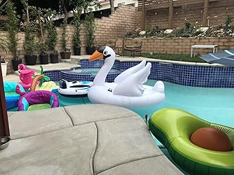Amazon.com: Intex 56287EP Giant White Mega Swan Inflatable Swimming ...