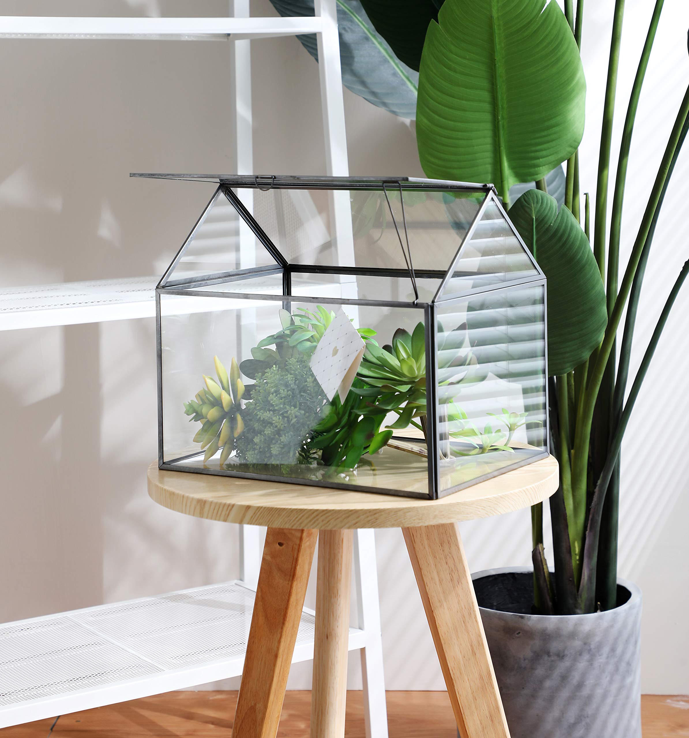 Extra Large Glass Terrarium Containers Extra Large Glass Terrarium