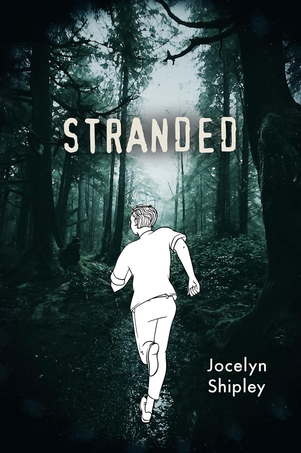 Amazon.com: Stranded (Orca Soundings): 9781459823891: Shipley, Jocelyn ...