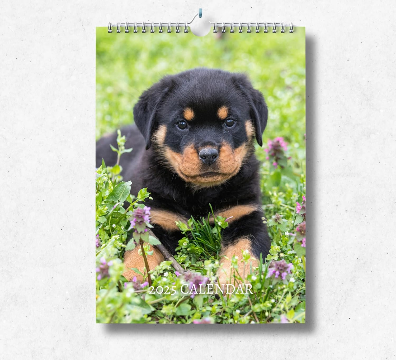 Amazon.com: Rottweiler Puppies Calendar 2025: Monthly Wall Calendar ...