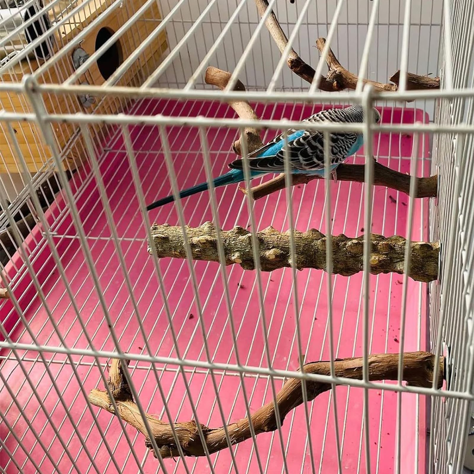 Pack of 5 Natural Wood Bird Perches, Natural Perches Set for Birds ...