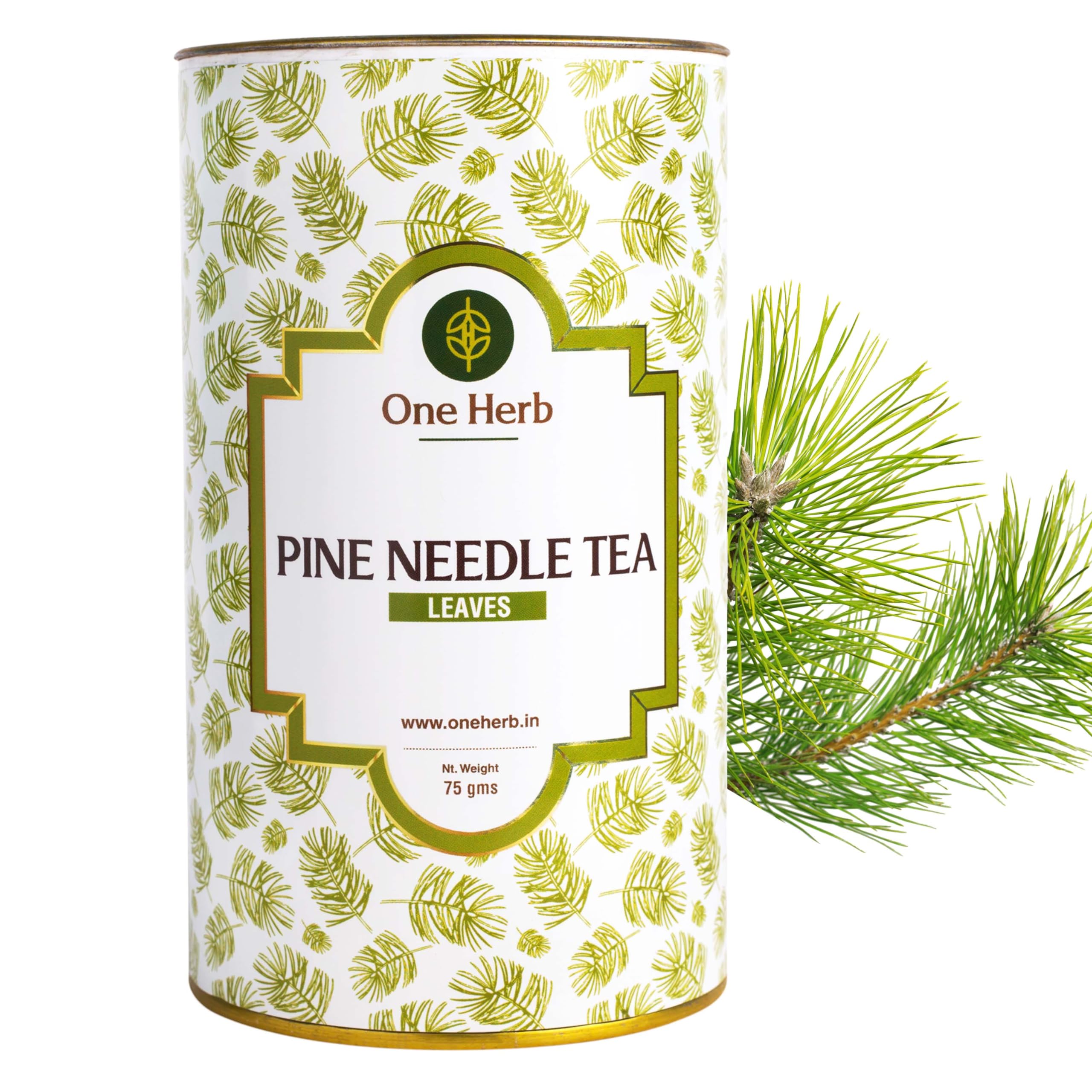 One Herb Pine Needle Tea 75 Grams Rich In Vitamin | Desertcart INDIA