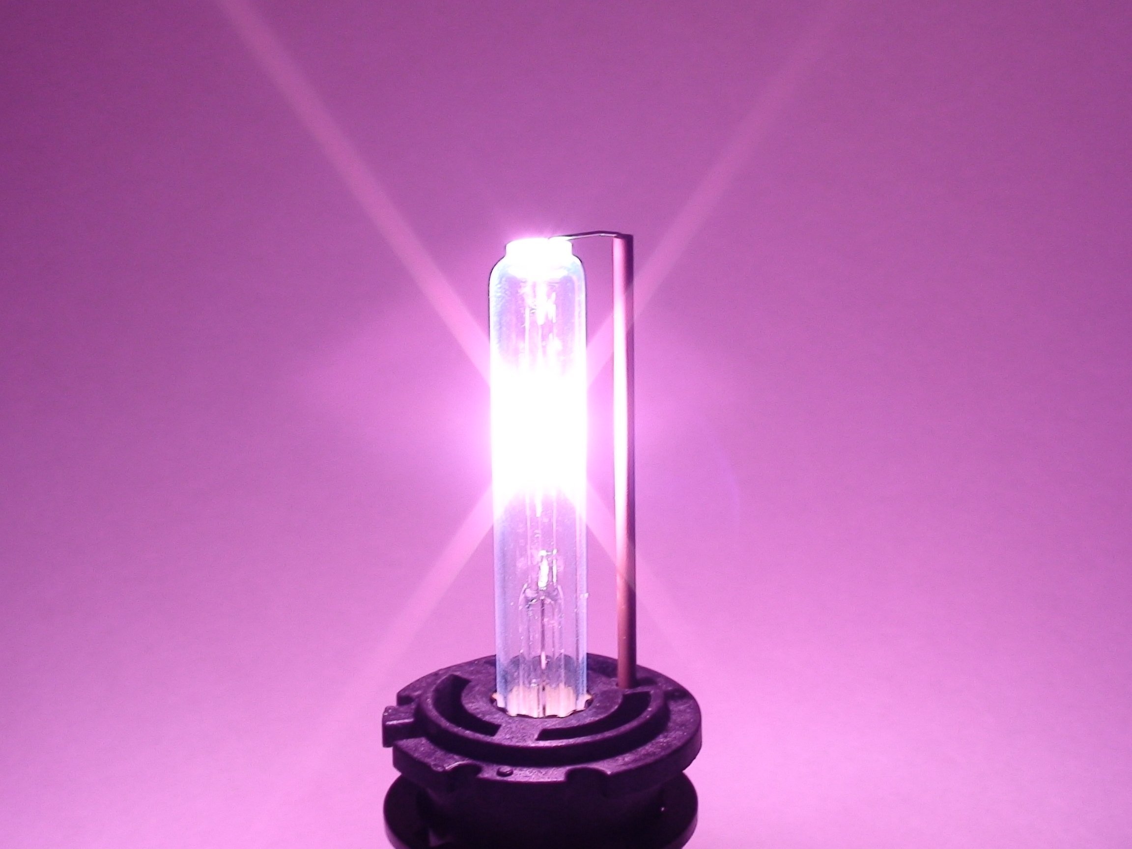 Purple Xenon Lights