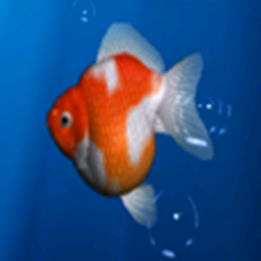 Gold Fish Animated Wallpaper