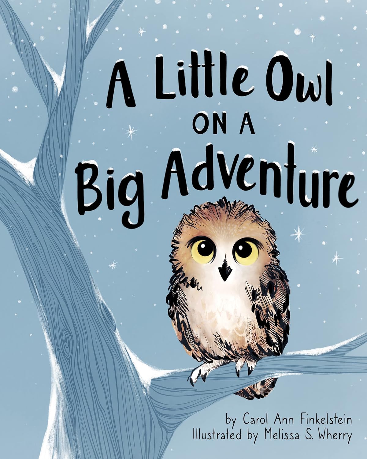 Amazon.com: A Little Owl on a Big Adventure eBook : Finkelstein, Carol ...