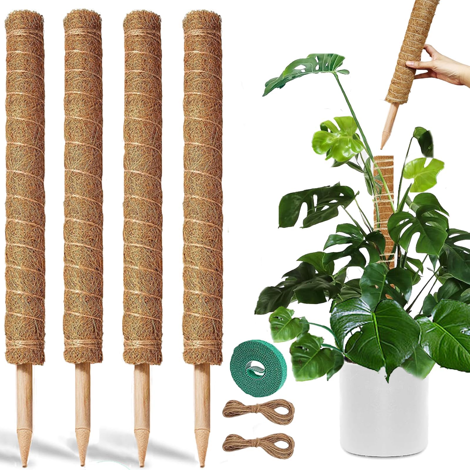 Amazon.com : Premium Moss Pole for Plants Monstera 94", 6 Pack 15.8 ...