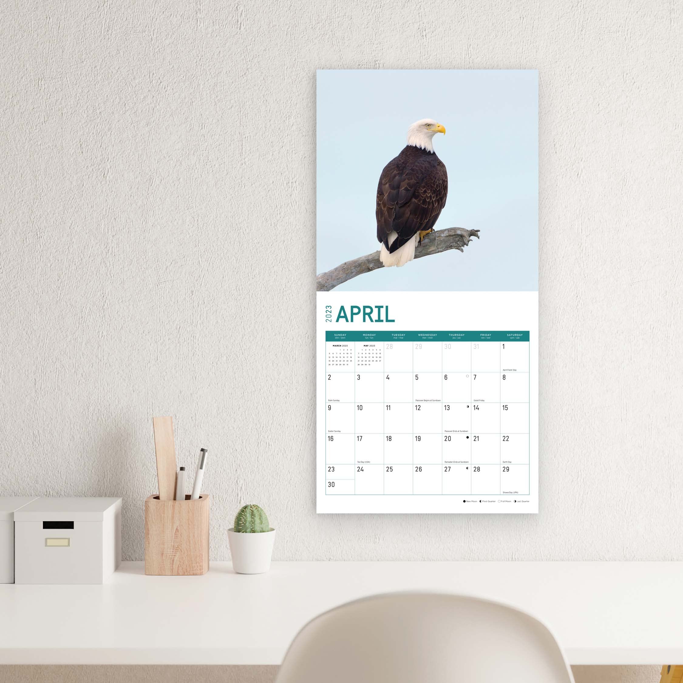 American Bald Eagle Calendar Hooray! The 2022 Calendar Is Available!!!