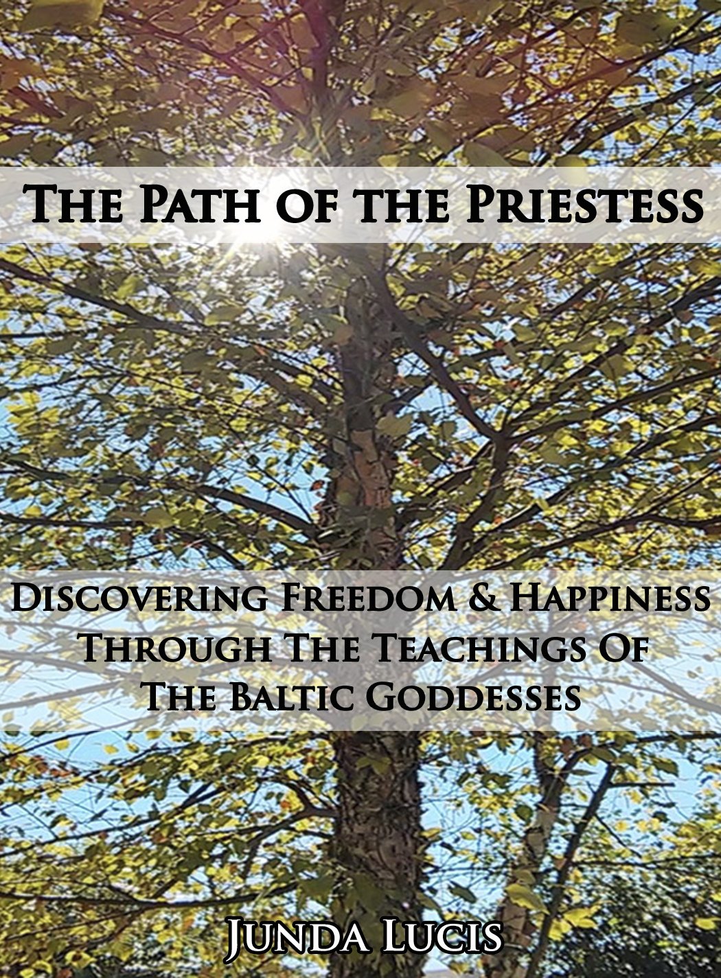 Amazon.com: The Path of the Priestess: Discovering Freedom and ...