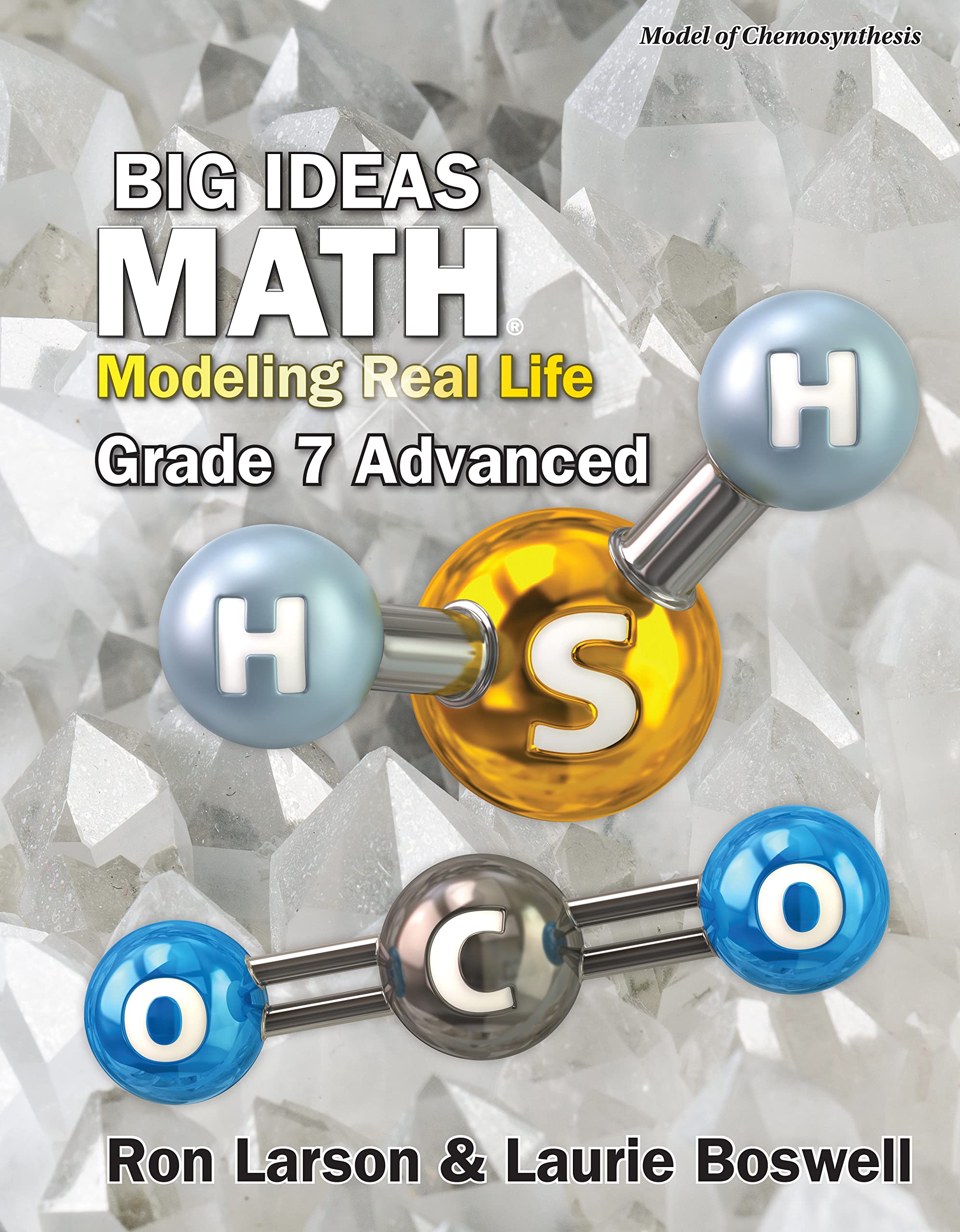 Amazon.com: Big Ideas Math: Modeling Real Life - Grade 7 Advanced ...