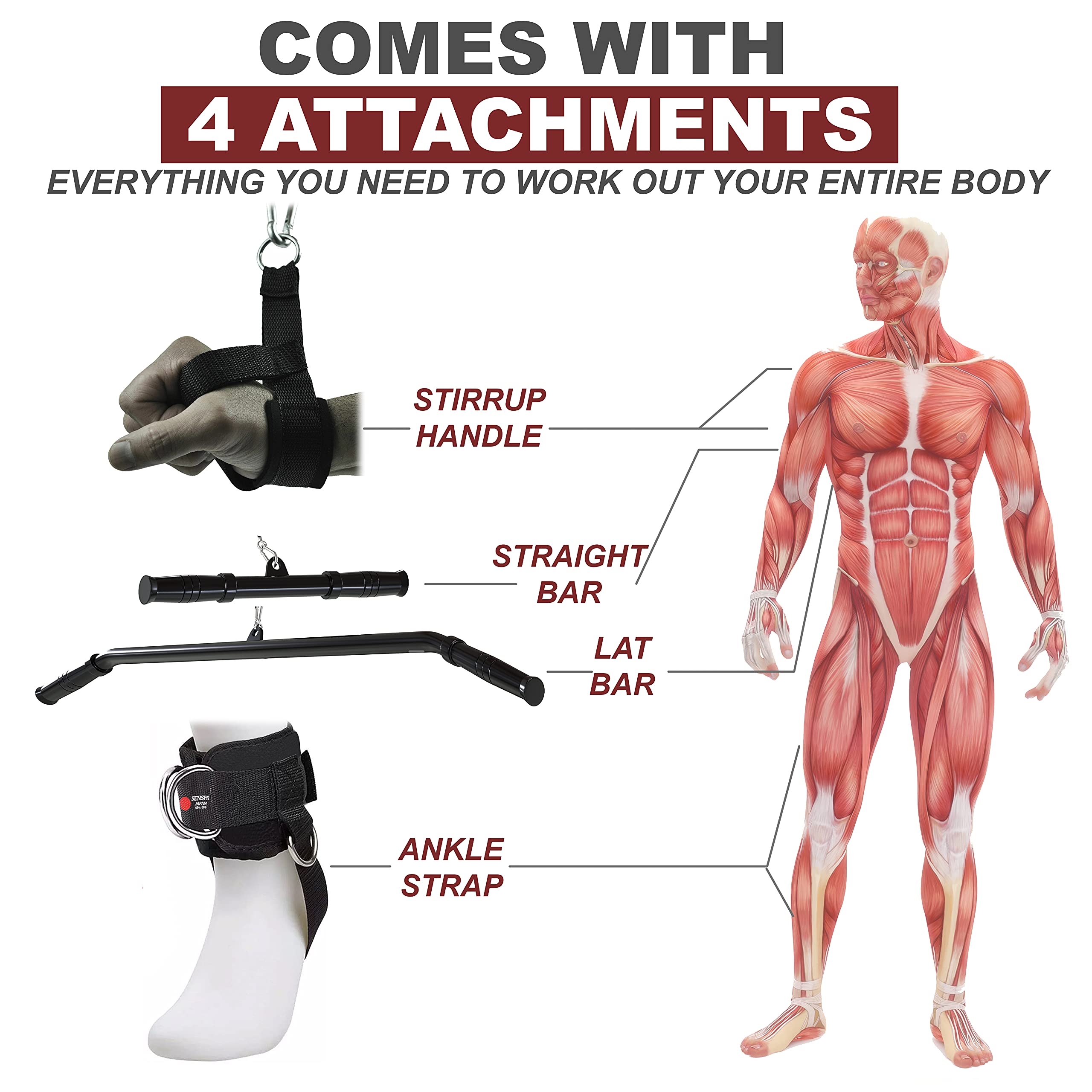 Senshi Japan V3 Cable Lat Pulldown Machine - 2 Pulley System, Comes ...