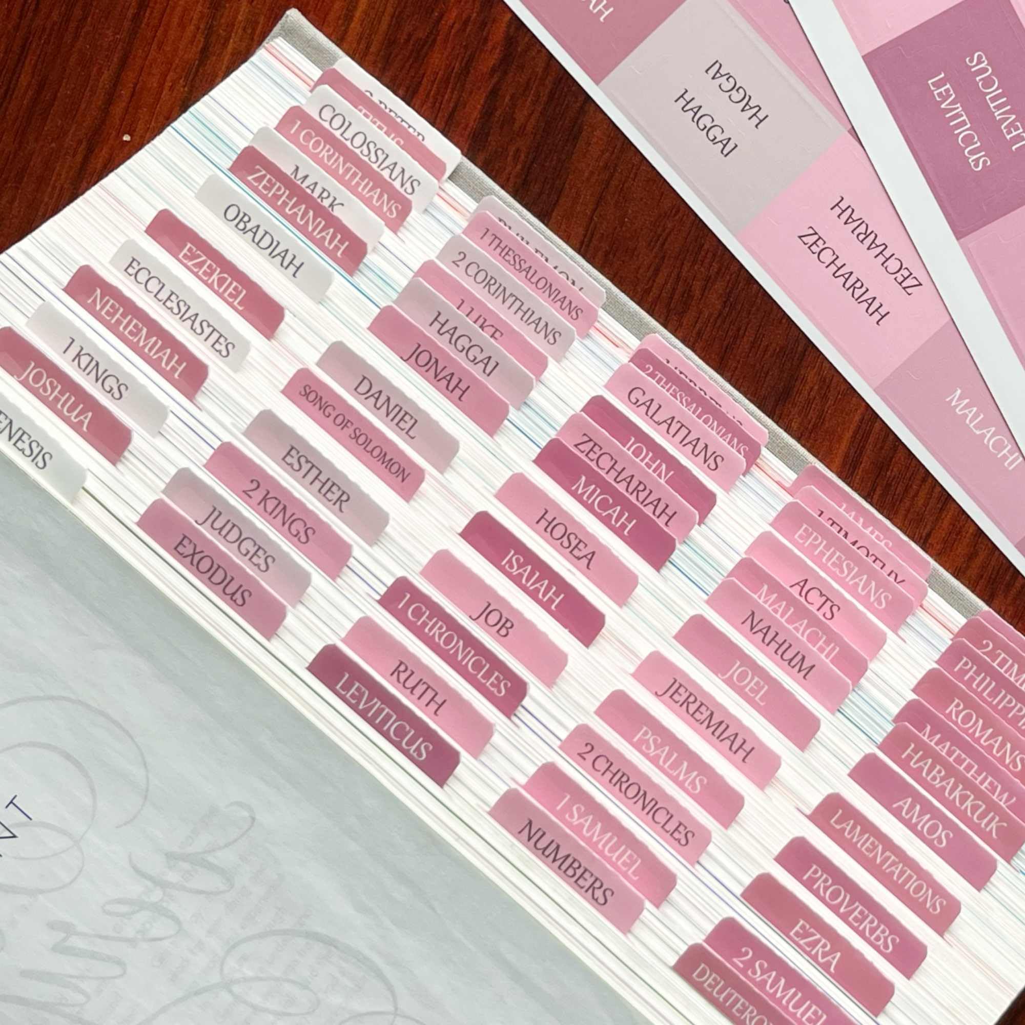 Amazon.com : Laminated Bible Tabs, Reposition Large Print Stickers ...