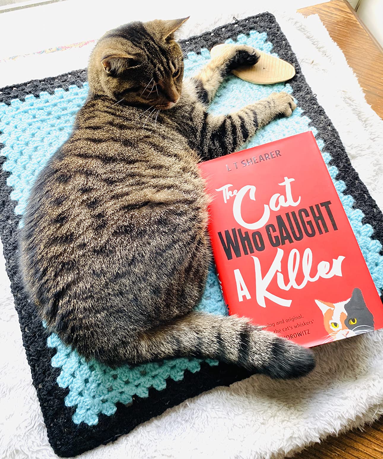The Cat Who Caught a Killer: Conrad the Cat Detective, Book 1 (Audio ...