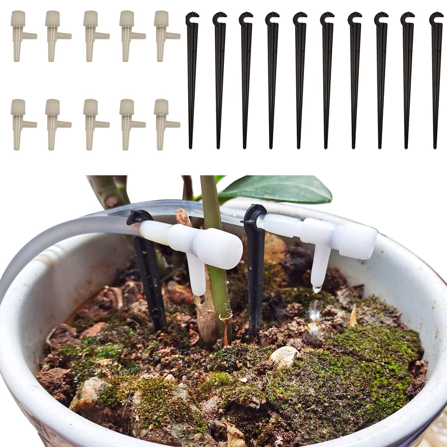 Amazon.com : Drip Irrigation Kit Auto Plant Waterer for Potted Plants ...