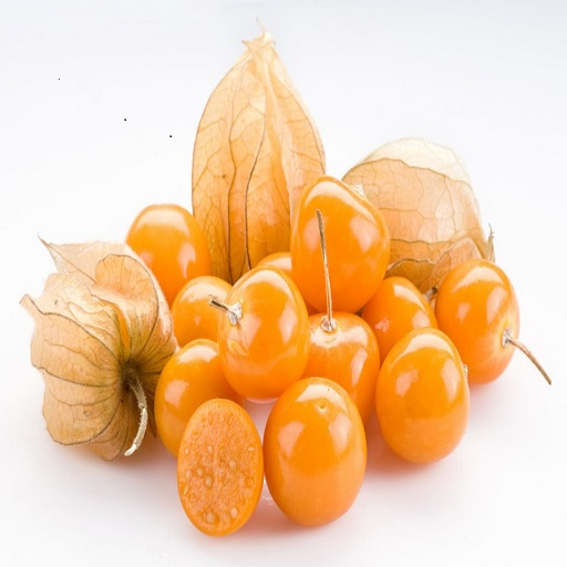 PHYSALIS Fruit Application - App on Amazon Appstore