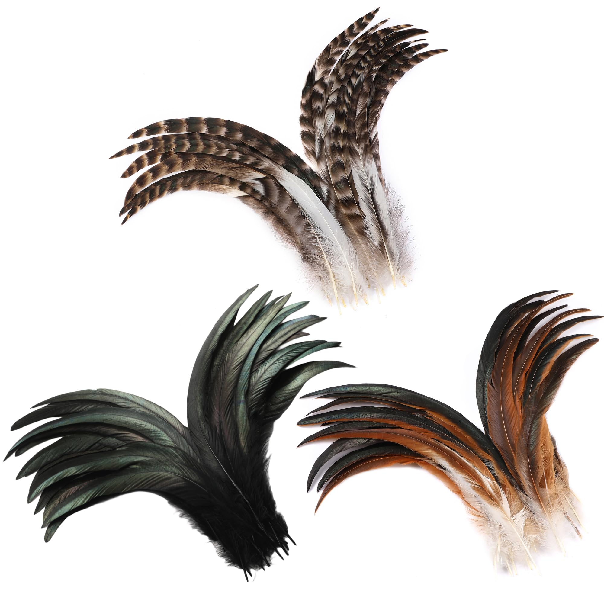 Peacock Costume Holmgren Golden Yellow Rooster Feathers Bulk - 60pcs 12 ...