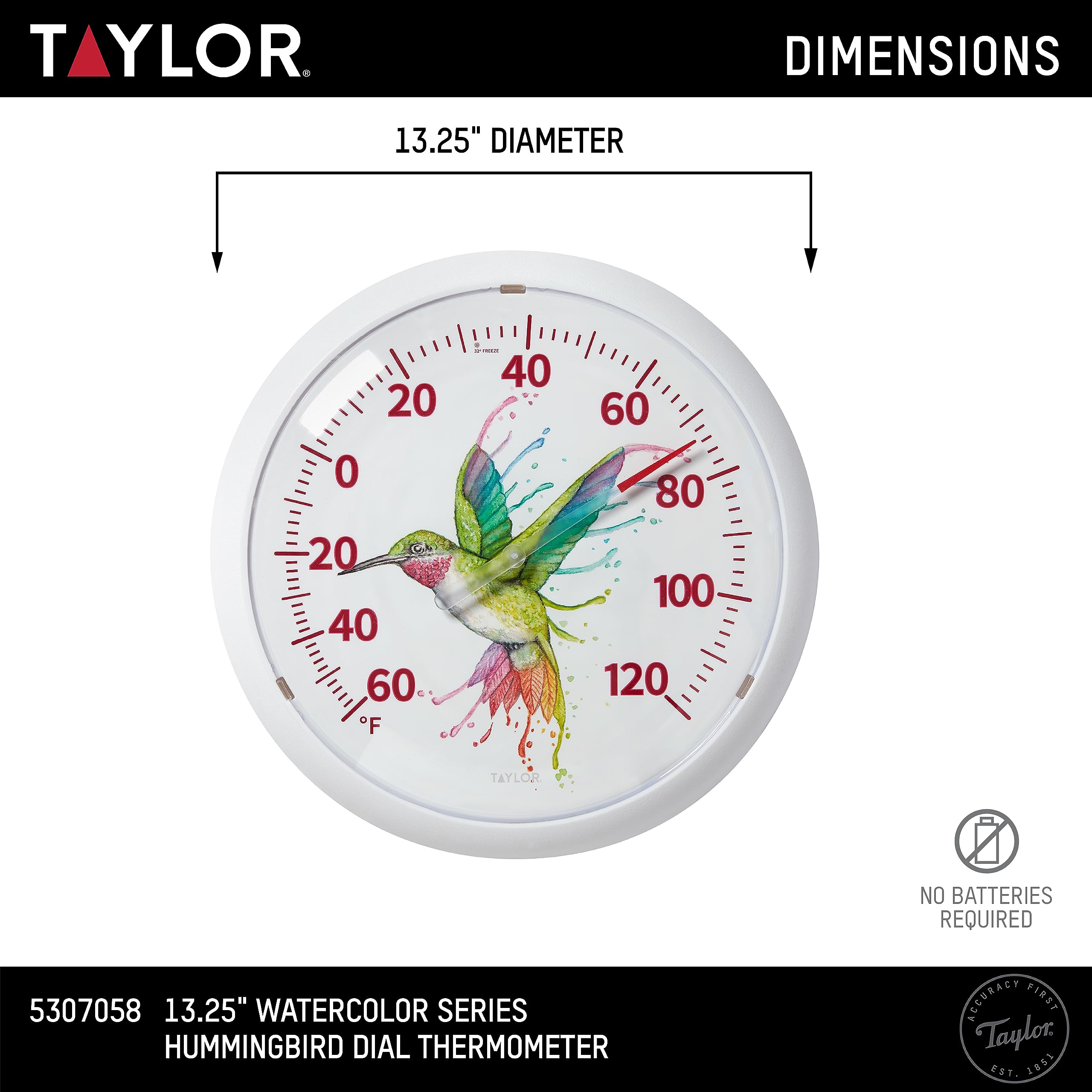Taylor Watercolor Series Rainbow Hummingbird Indoor Outdoor Dial ...