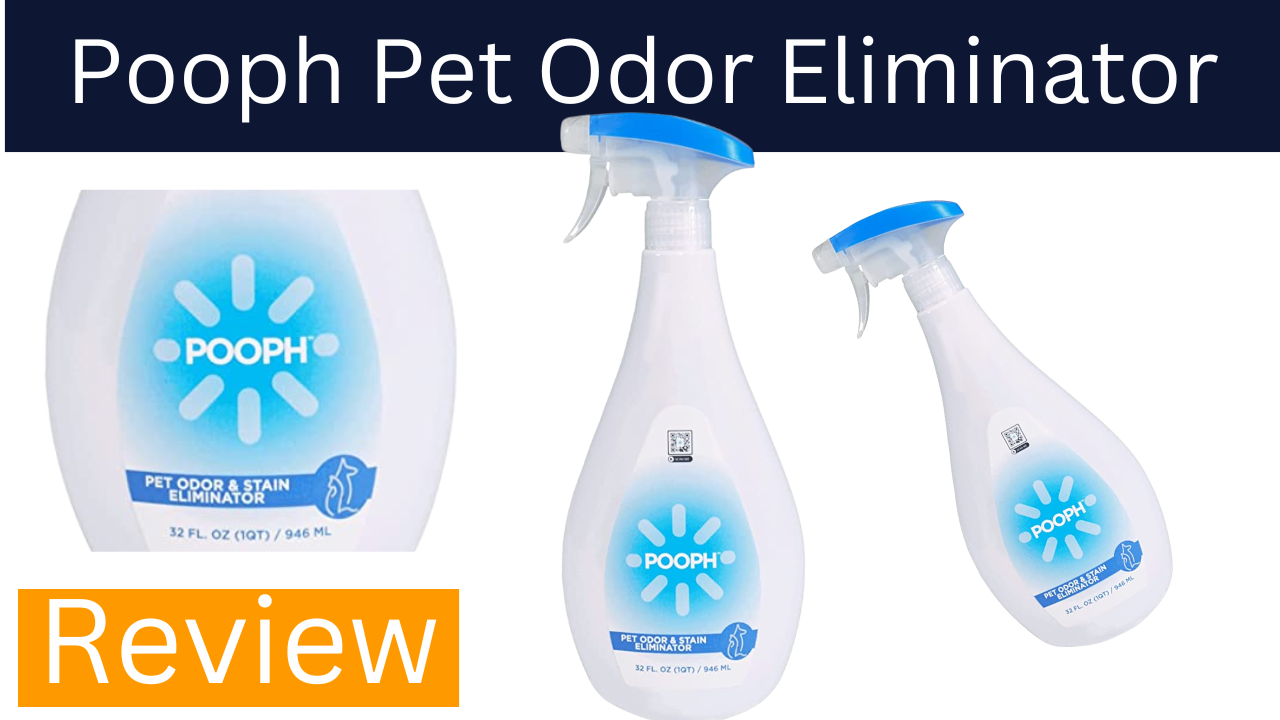 Watch Pooph Pet Odor Eliminator ﹙Dogs, Cats, Urine﹚ on Amazon Live