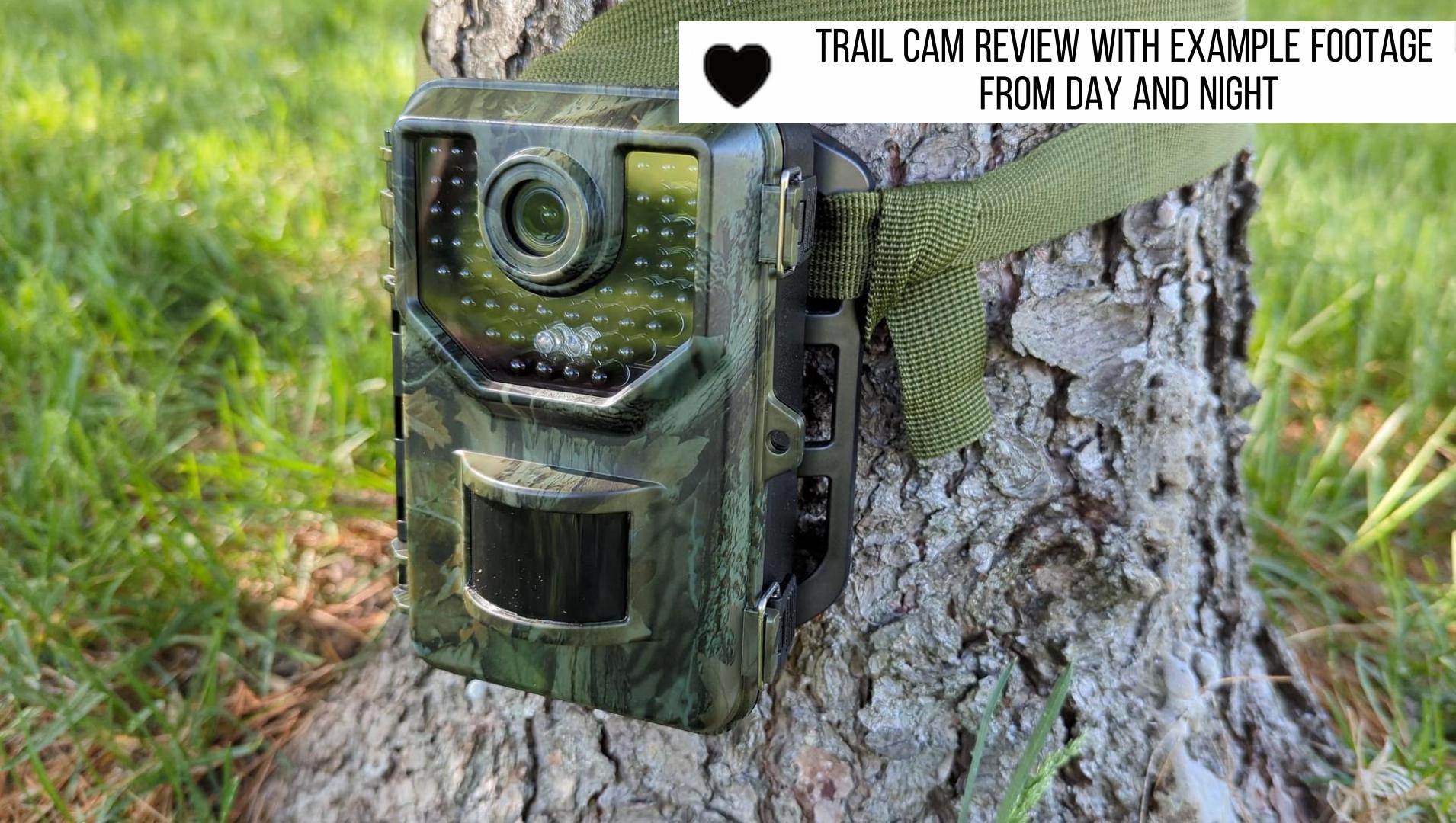 Watch Trail Cam Review with Example footage from day and night on ...