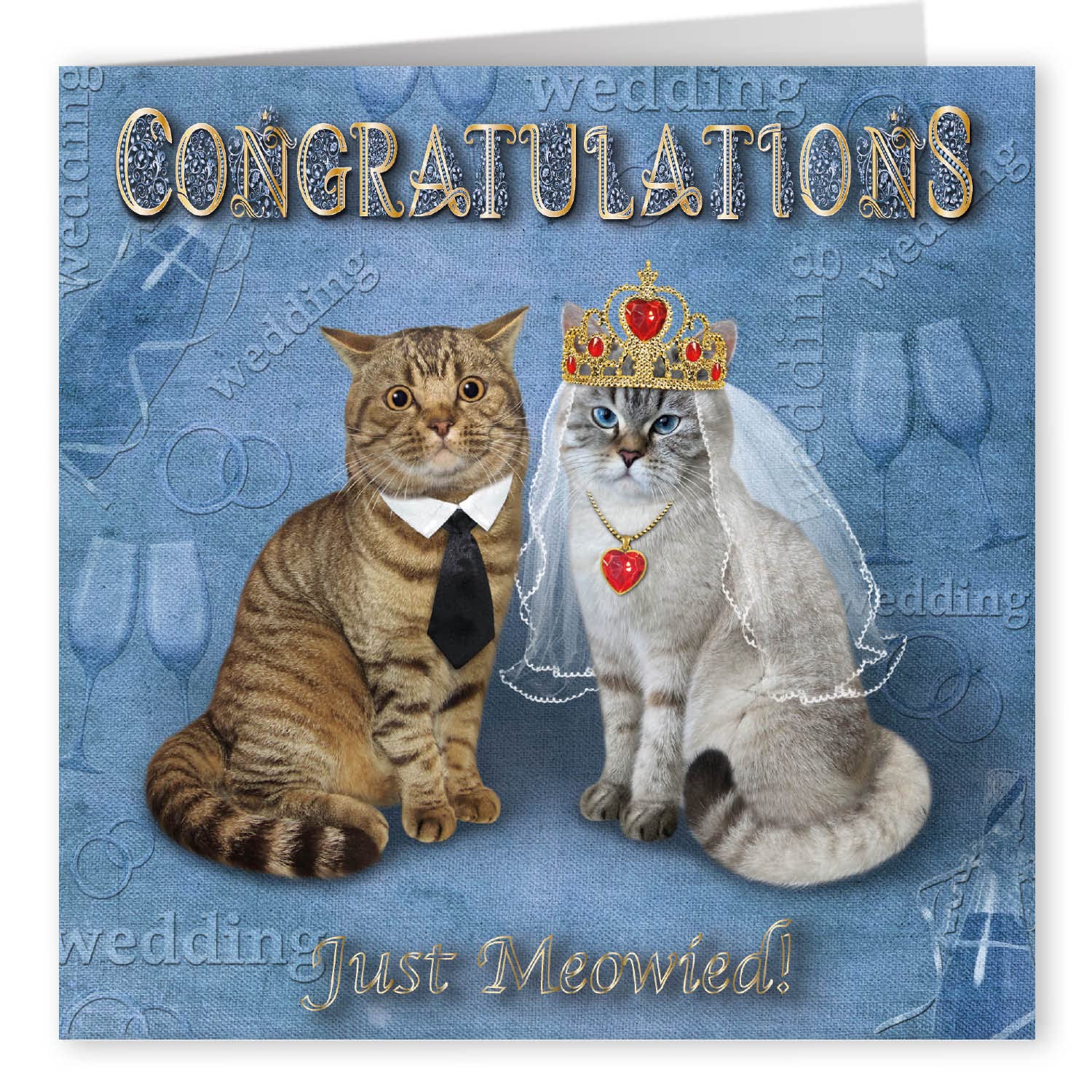 Wedding congratulations meme 60 photos - Astyledwedding.com