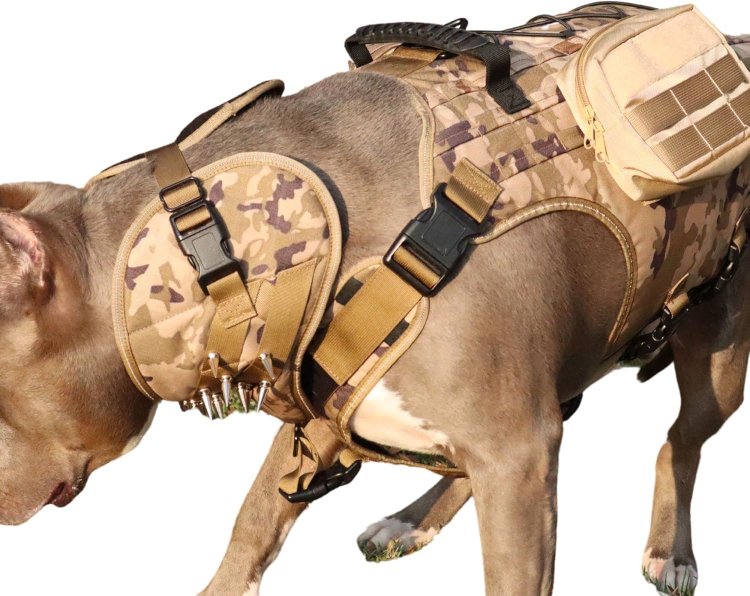 Amazon.com : Full Tactical Dog Vest, Harness (Extra Large) : Sports ...