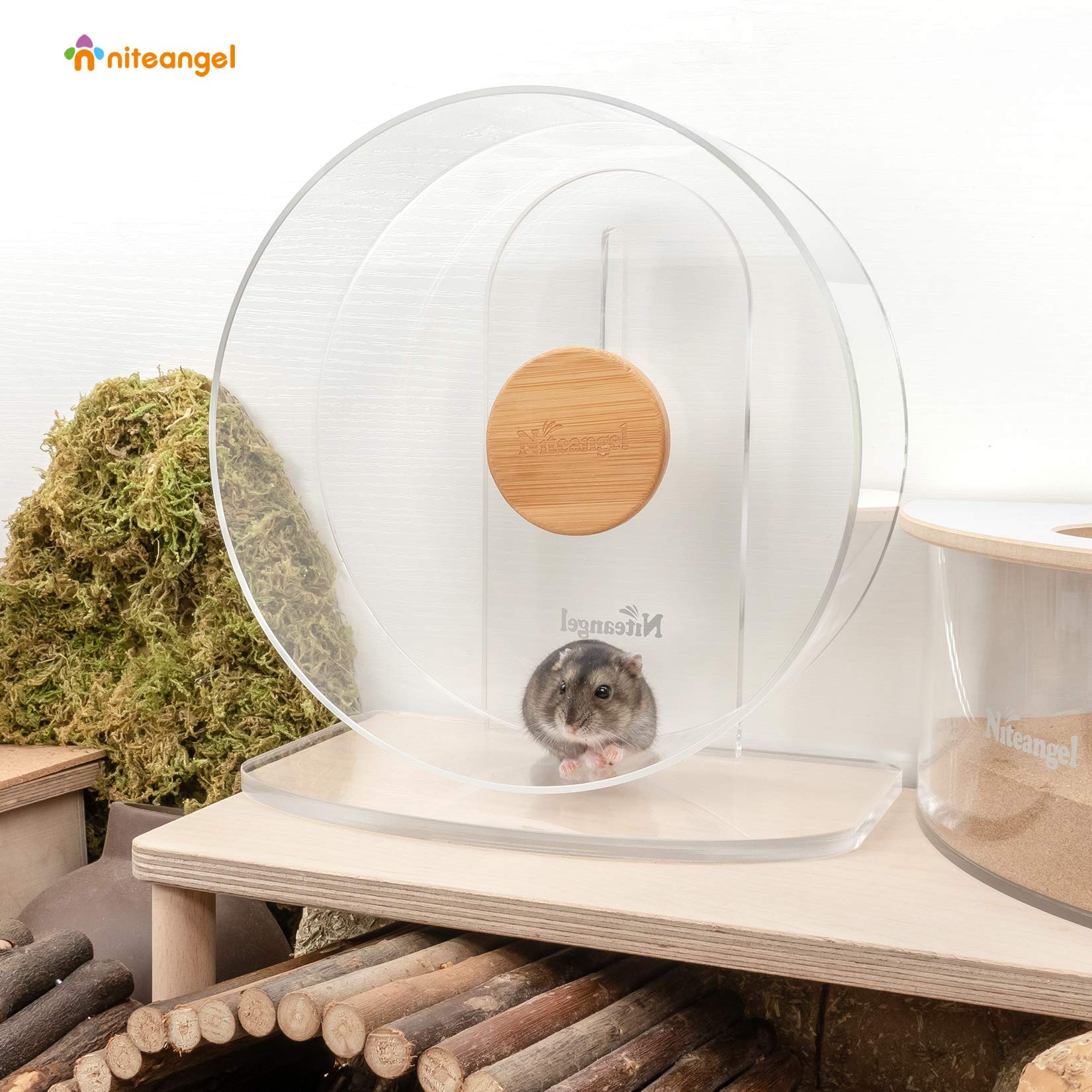Snapklik.com : Niteangel Silent Hamster Exercise Wheel: - Dual-Bearing ...